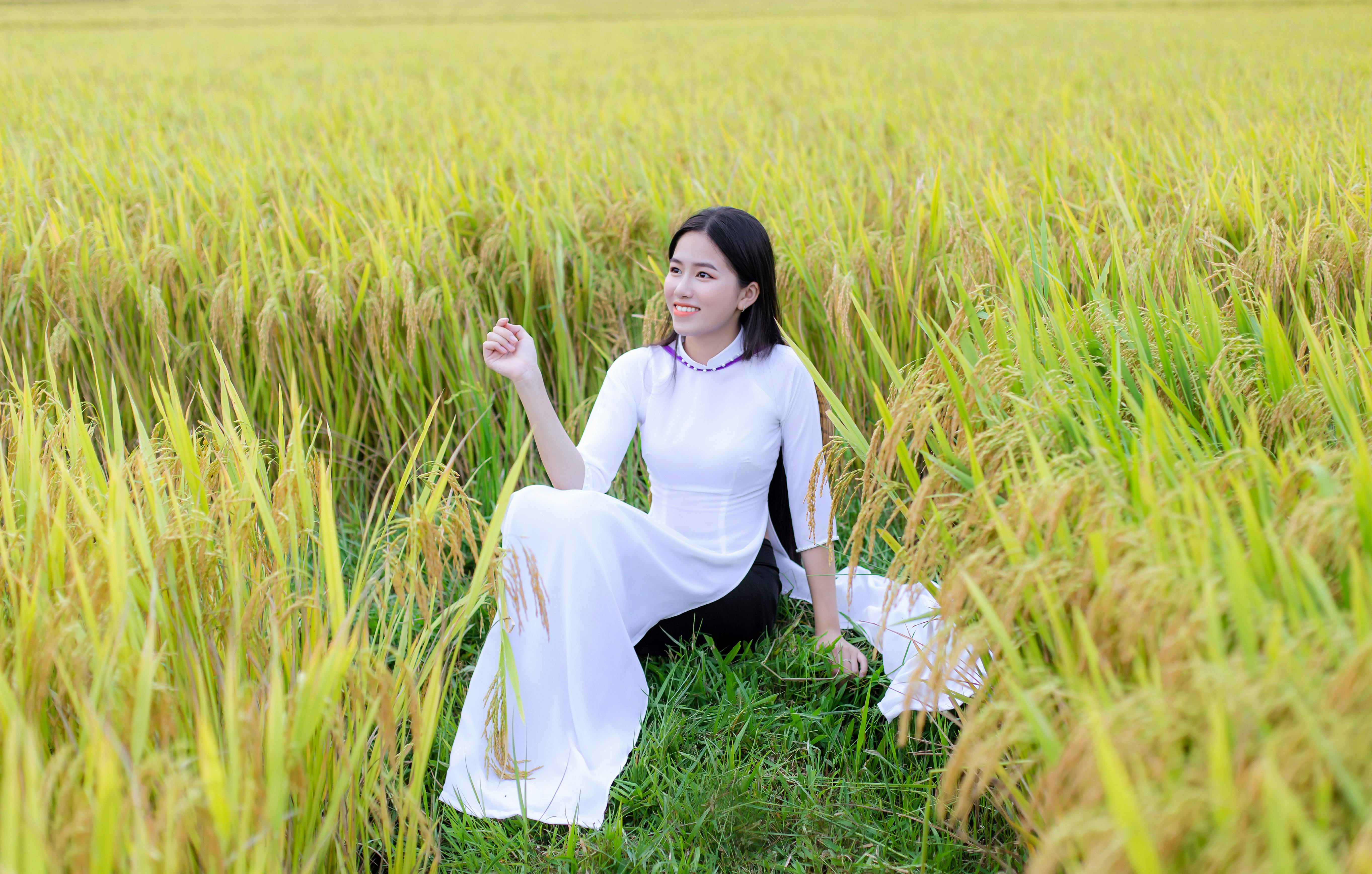 Woman in Traditional Ao Dai Walking Through Rice Field · Free Stock Photo