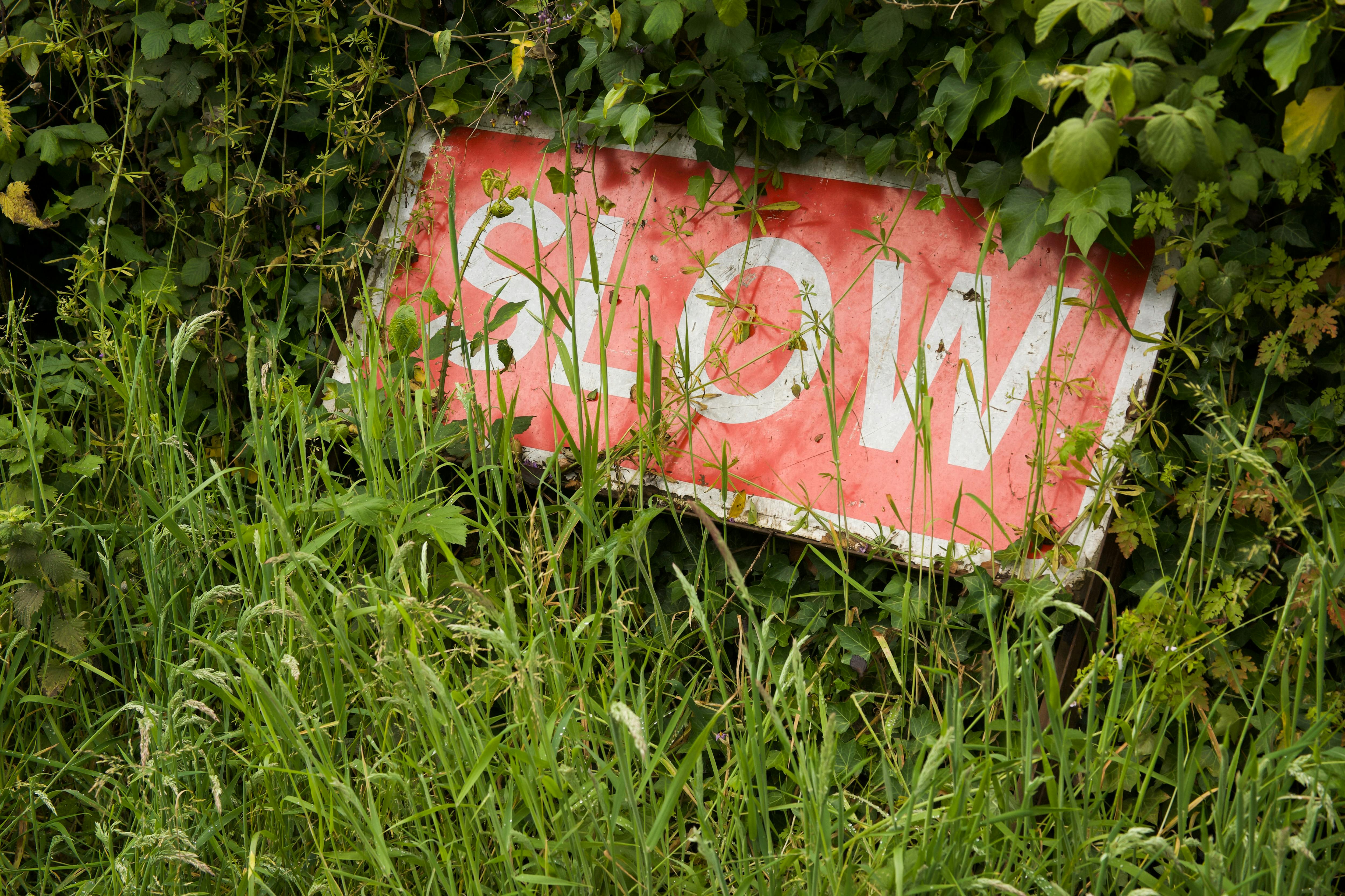 Overgrown Road Sign Photos, Download The BEST Free Overgrown Road Sign ...