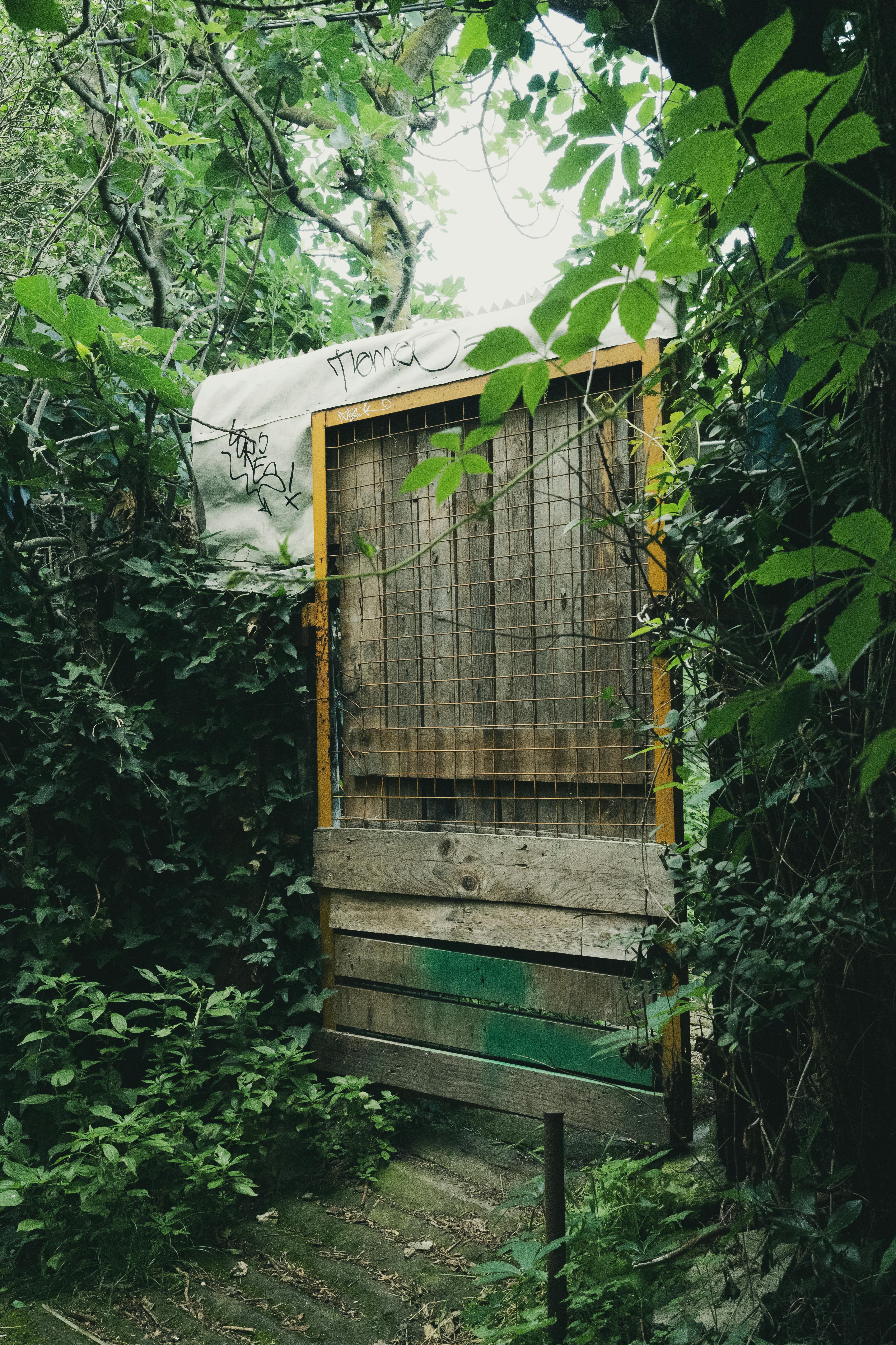 Overgrown Garden Path Leading to Rustic Gate · Free Stock Photo