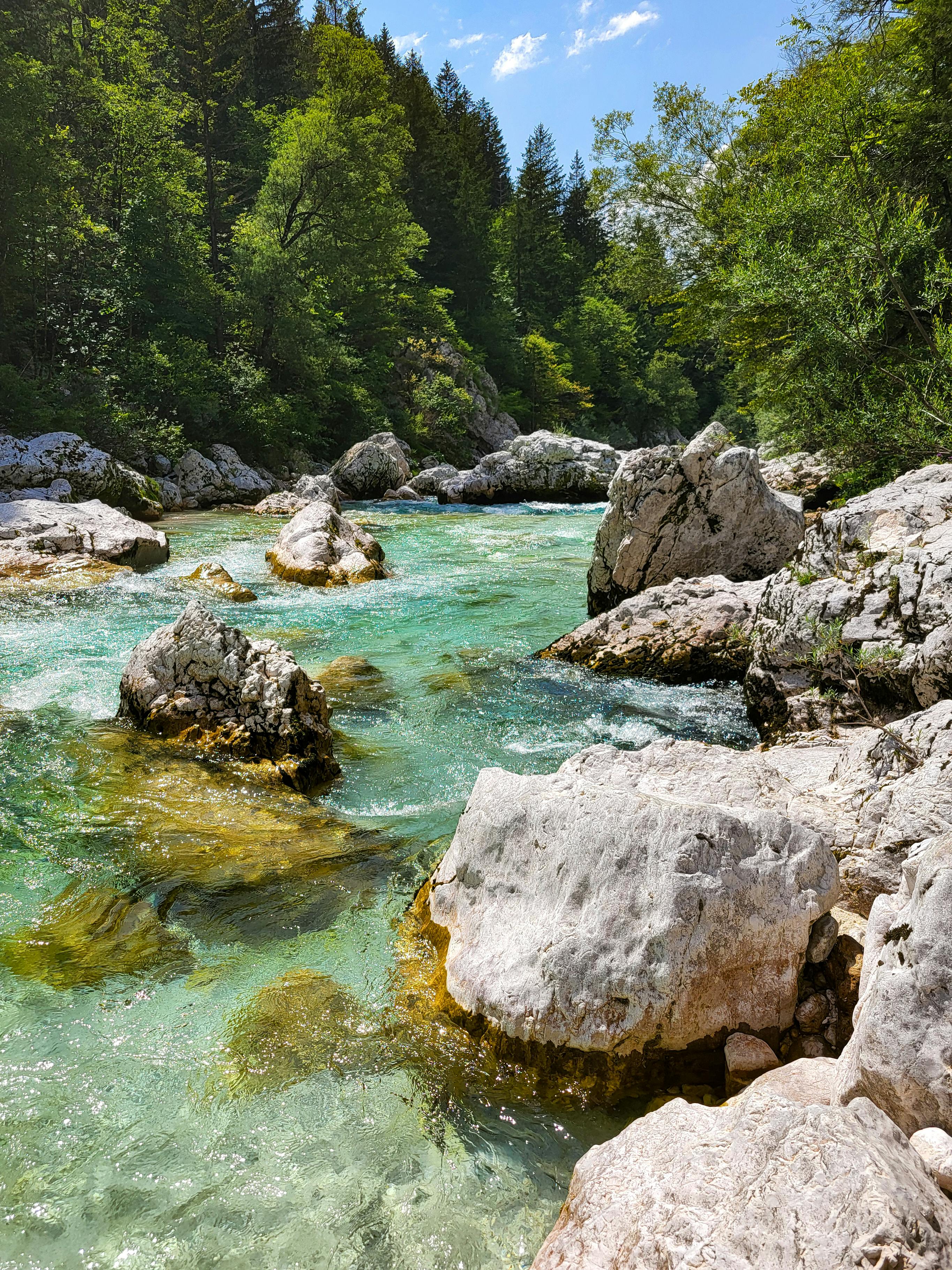 Río Tranquilo Que Atraviesa Un Paisaje De Bosque Rocoso · Foto de stock ...