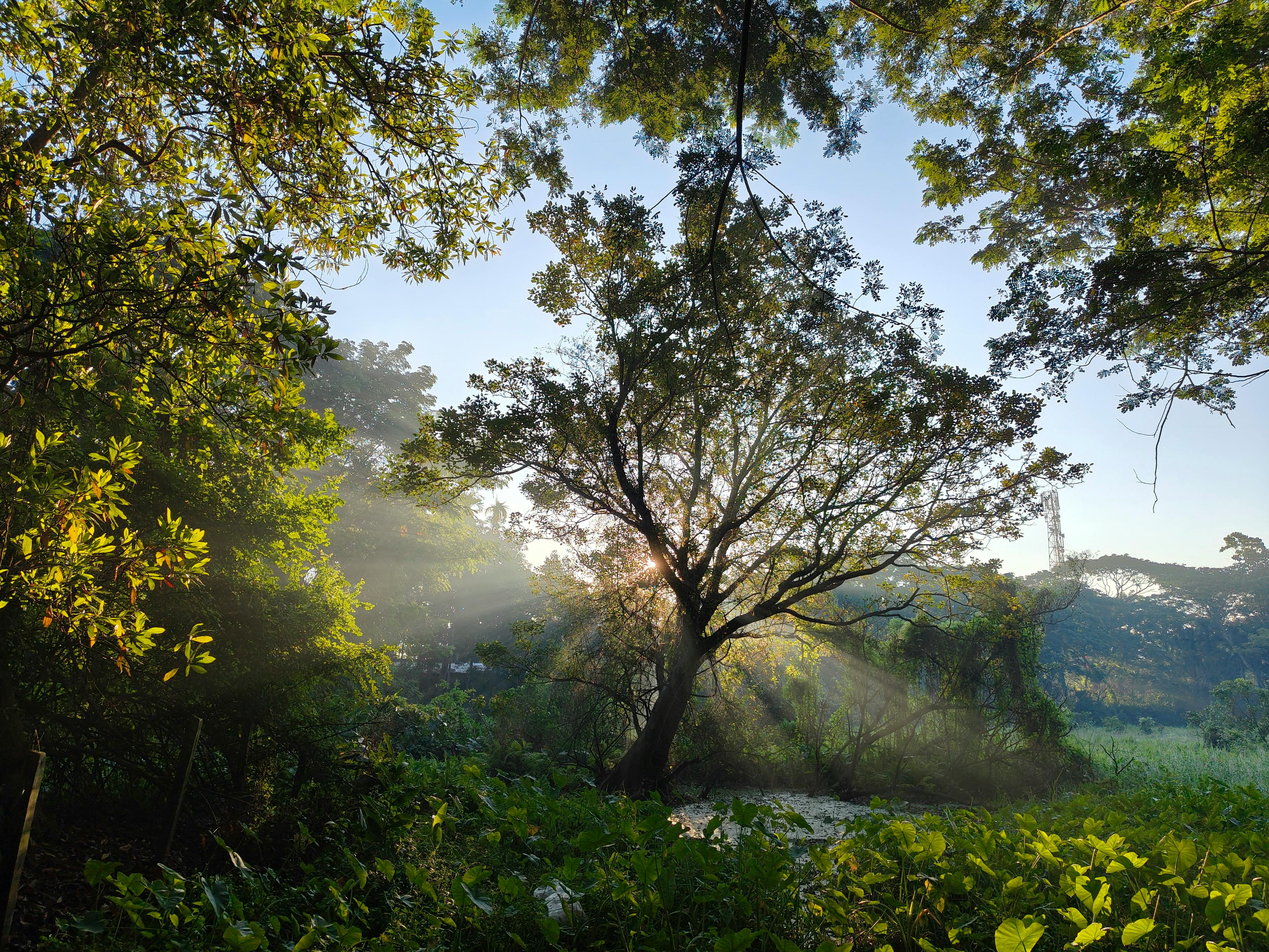 Sunflare Lumanare Photos, Download The BEST Free Sunflare Lumanare Stock Photos & HD Images