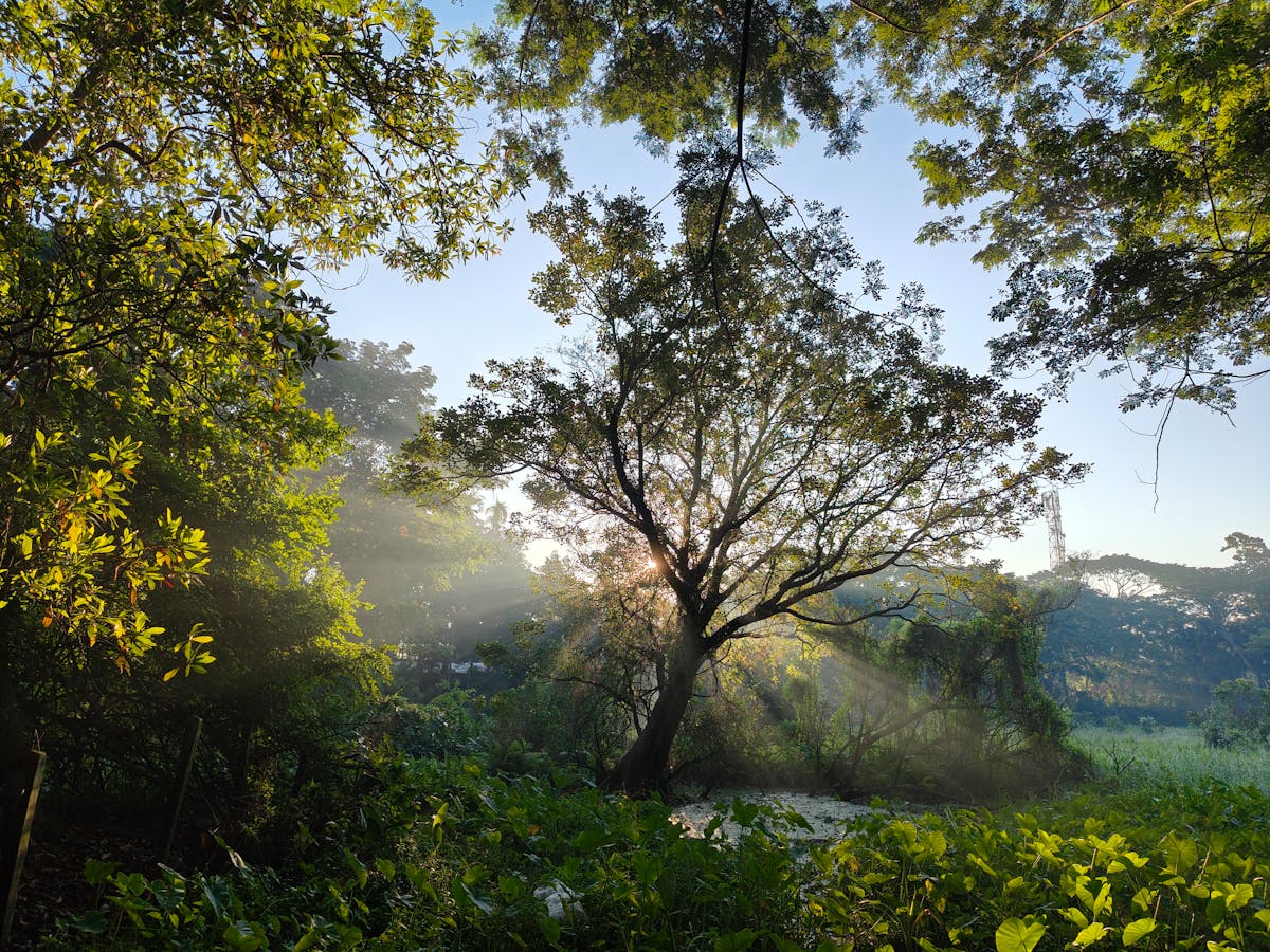 Sun. Photos, Download The BEST Free Sun. Stock Photos & HD Images