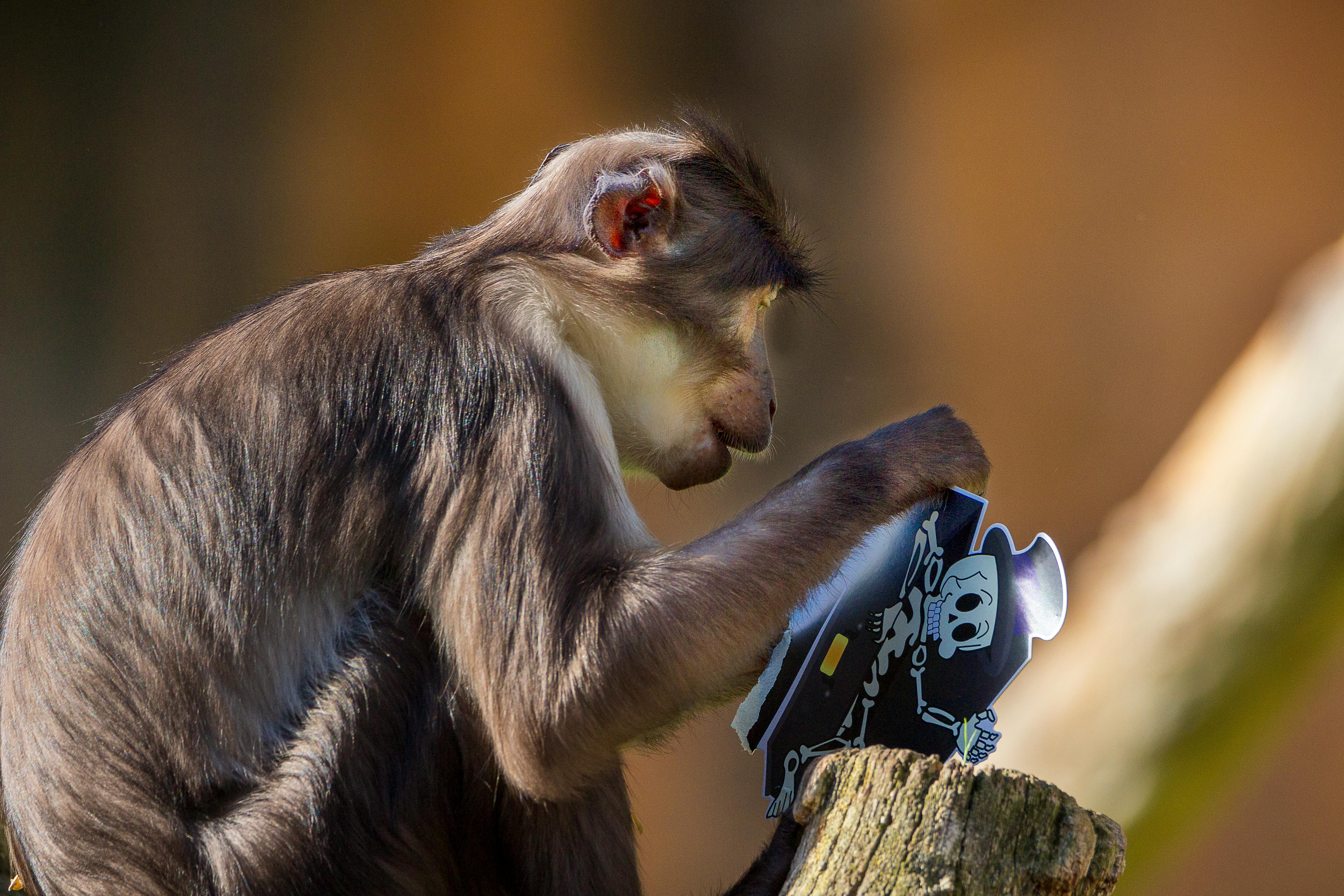 Behavior Photos, Download The BEST Free Behavior Stock Photos & HD Images