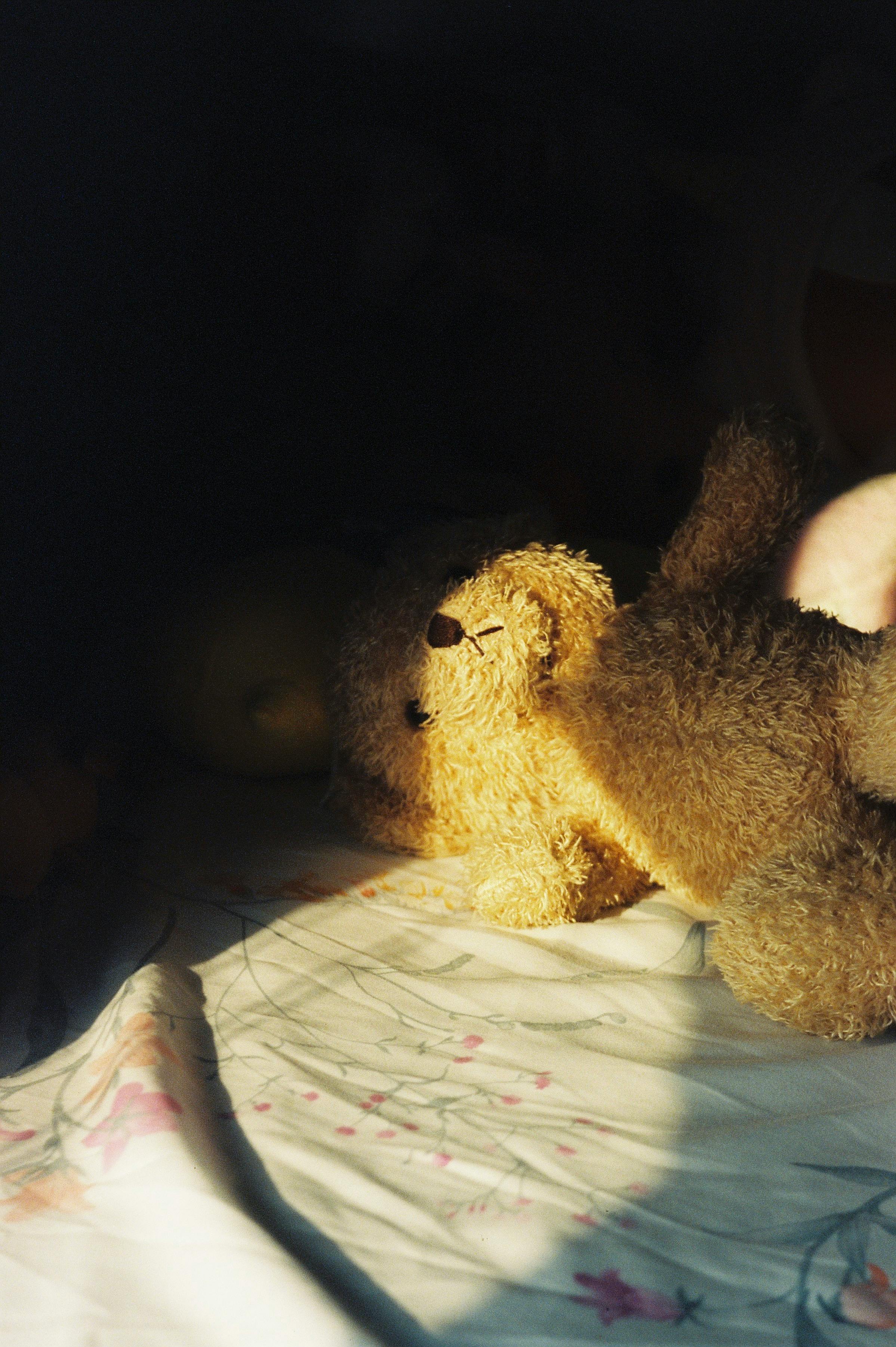 Comfy Photos, Download The BEST Free Comfy Stock Photos & HD Images