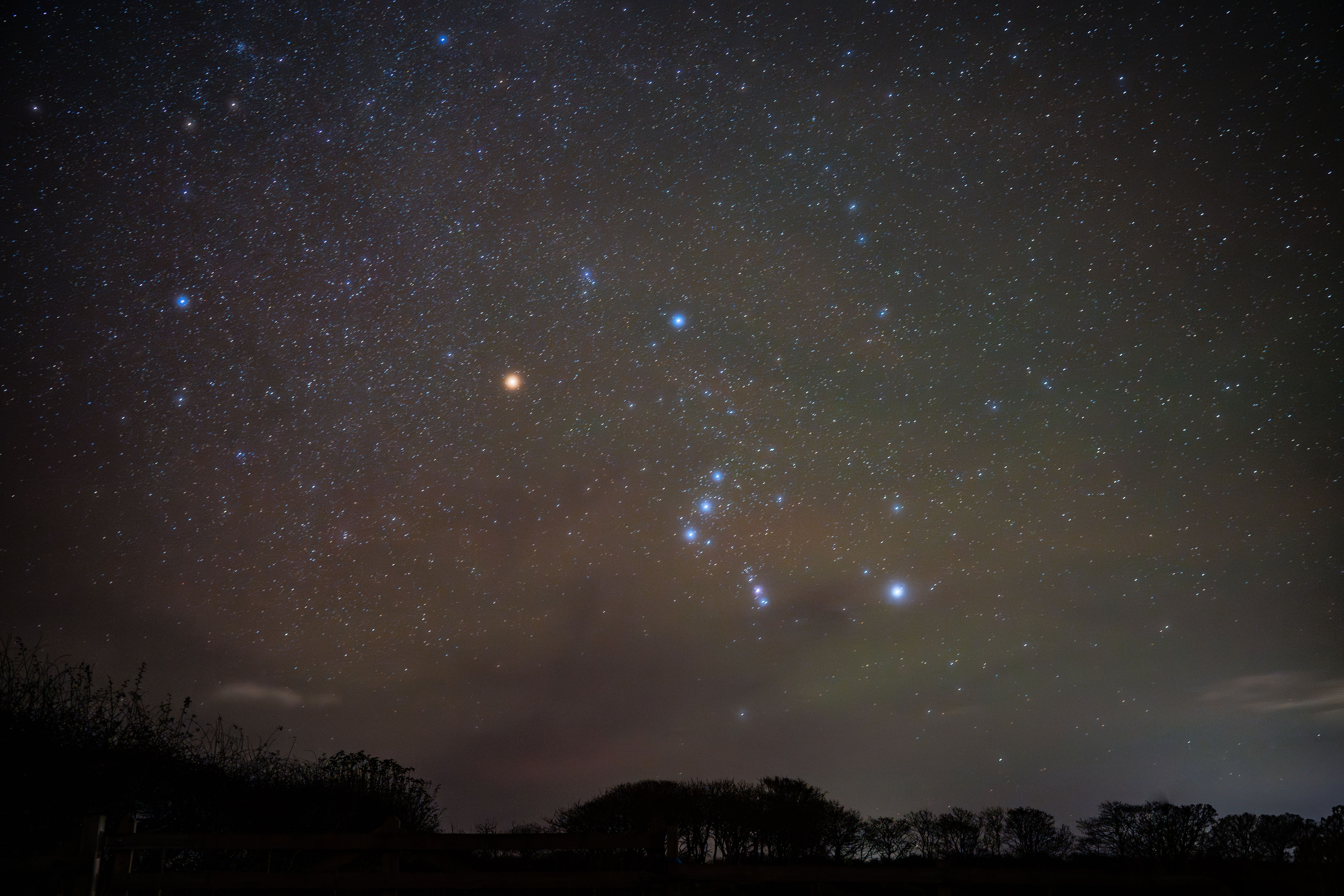 Stunning Orion Nebula Night Sky Photograph · Free Stock Photo