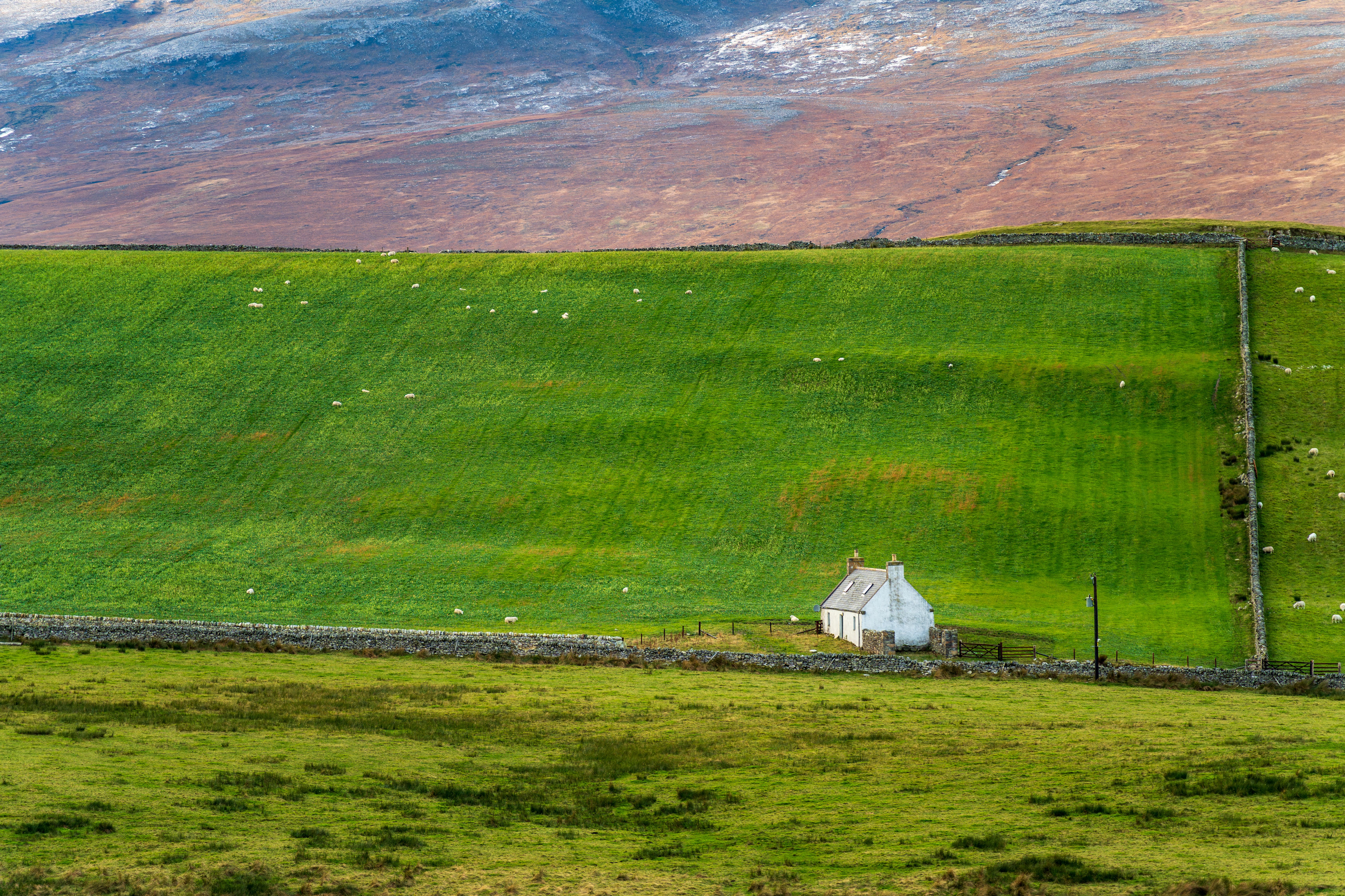 Solitary Cottage Amidst Vast Verdant Fields · Free Stock Photo