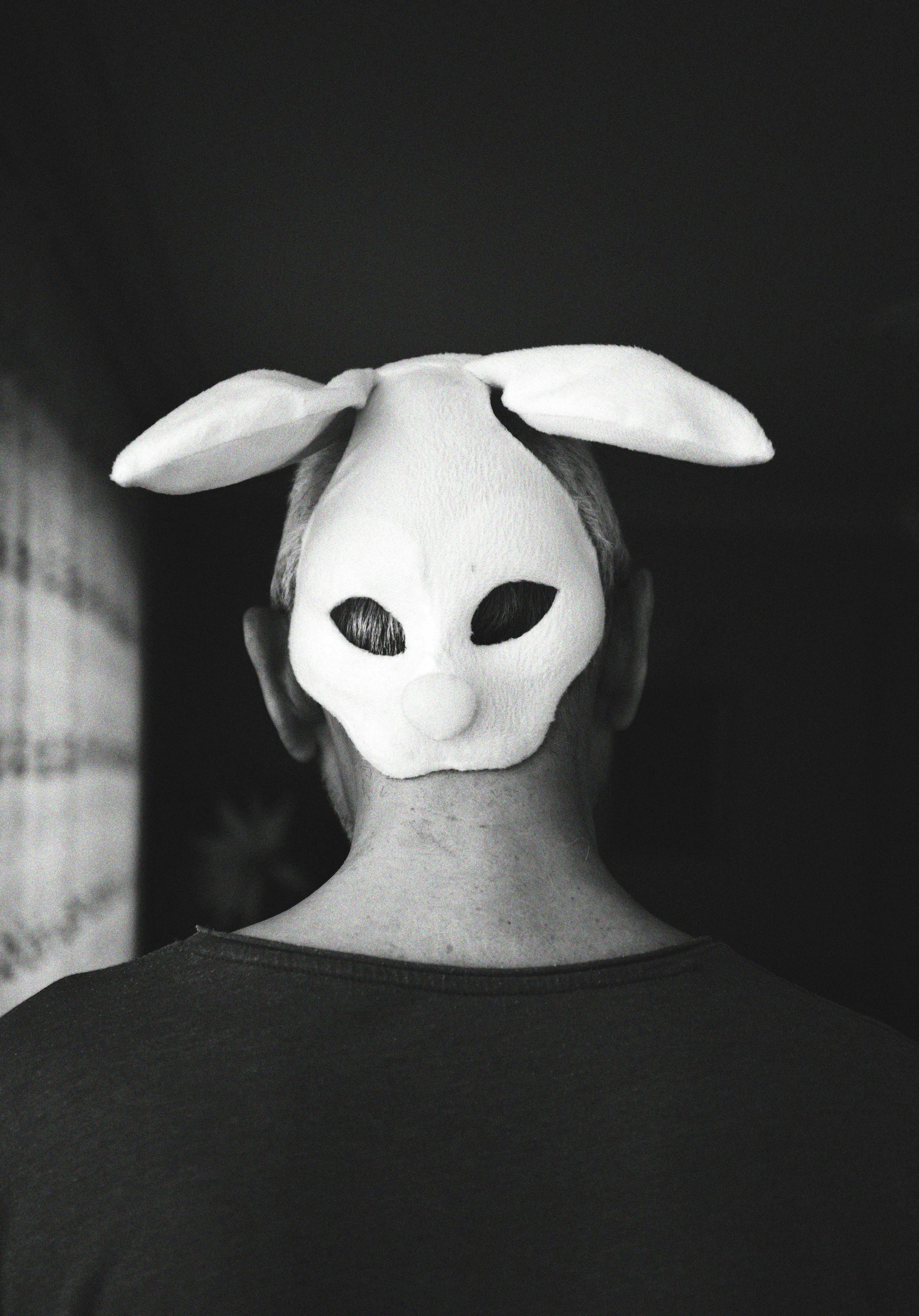 Rabbit Pexels Photos, Download The BEST Free Rabbit Pexels Stock Photos ...