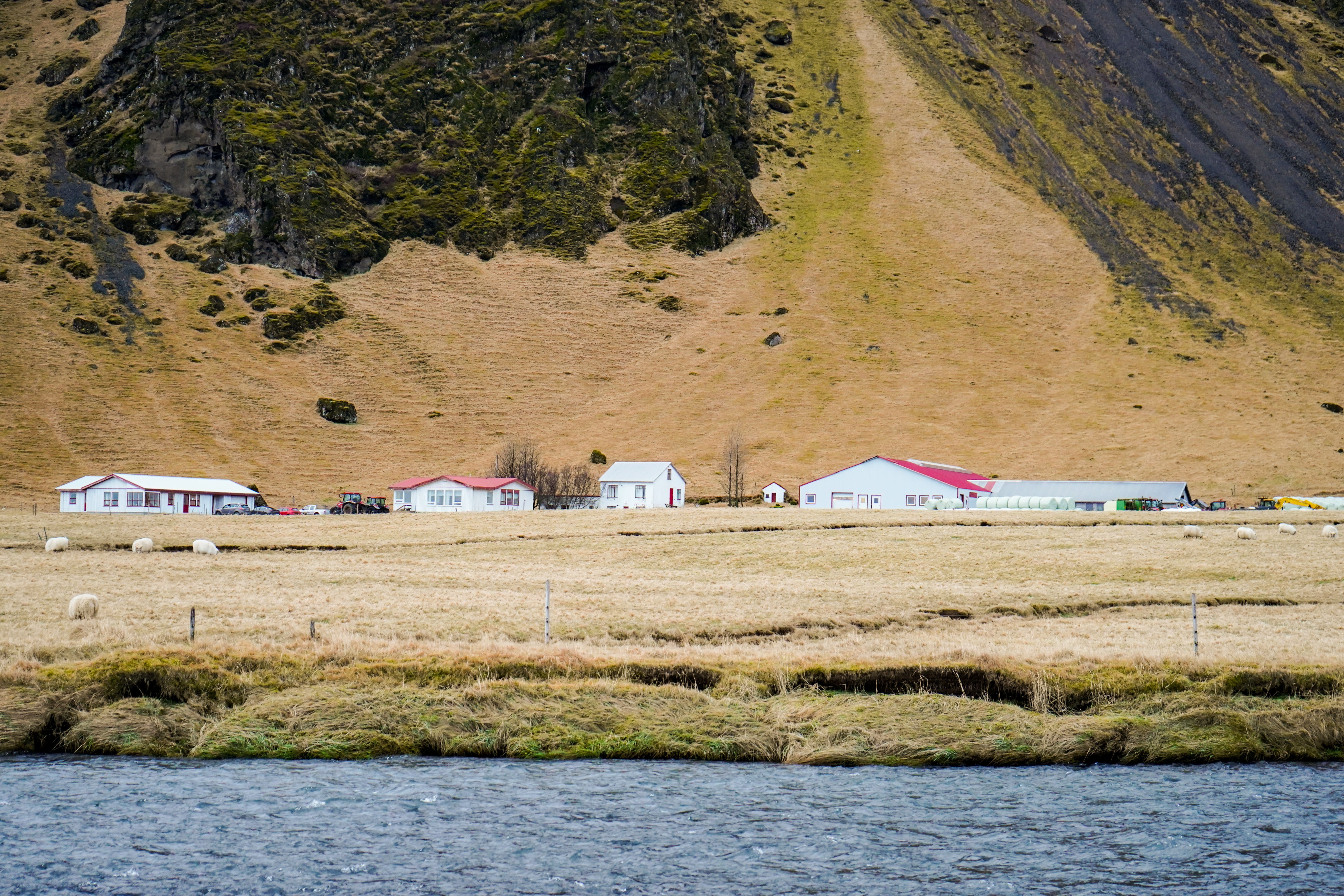 Scenic Icelandic Farmhouse Landscape · Free Stock Photo