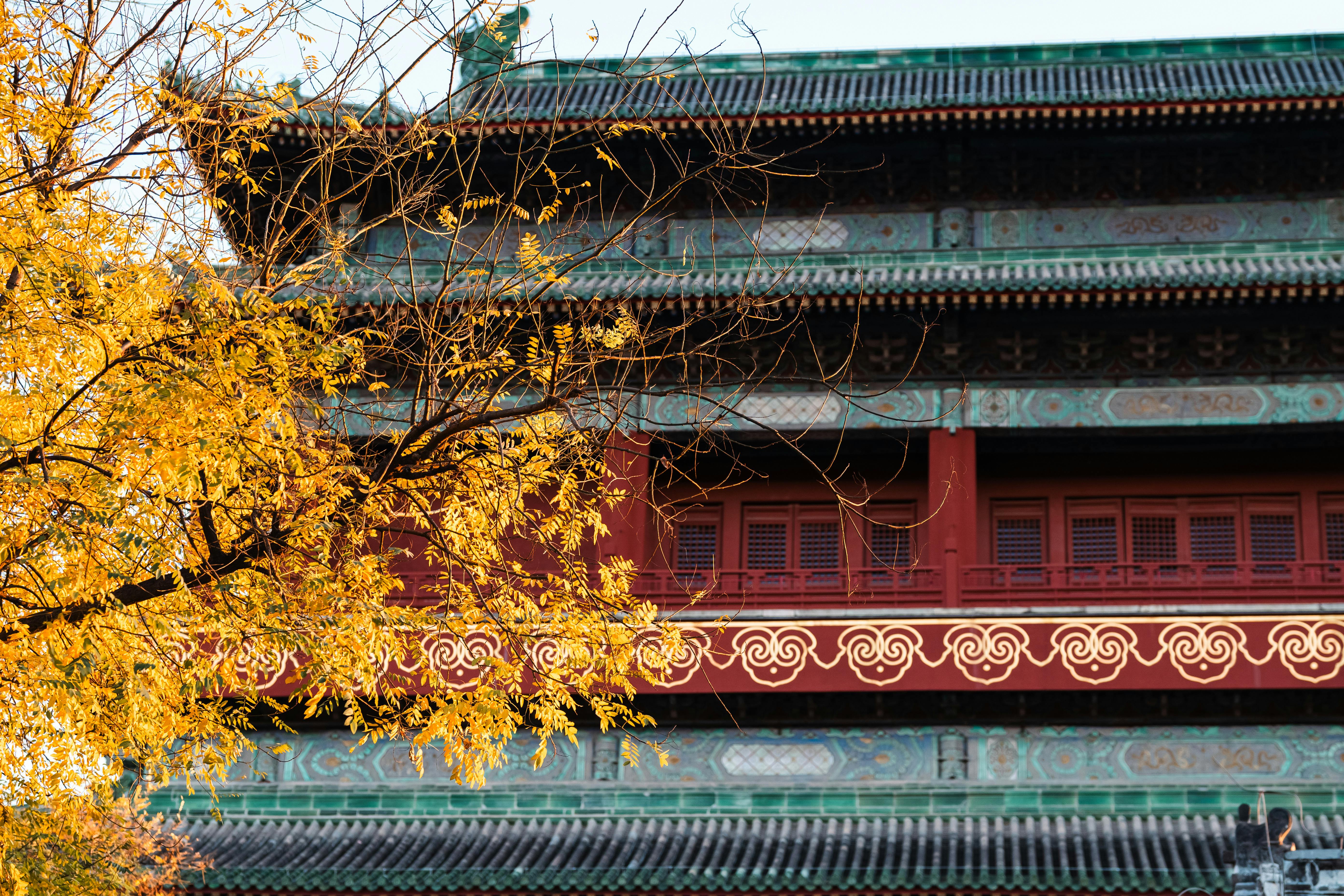 Traditional Chinese Architecture with Ornate Roofs · Free Stock Photo