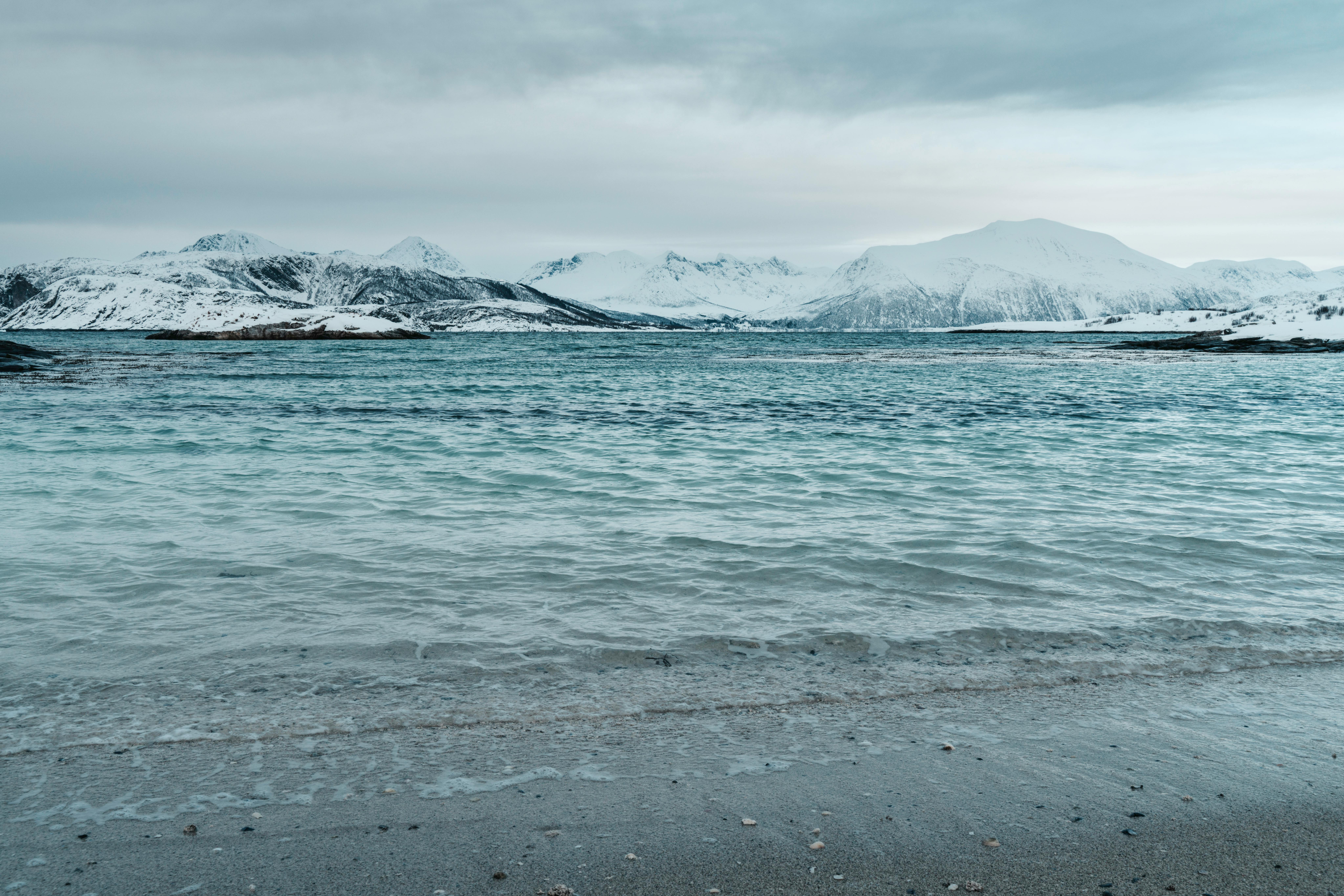 Cold Ecosystem Photos, Download The BEST Free Cold Ecosystem Stock ...