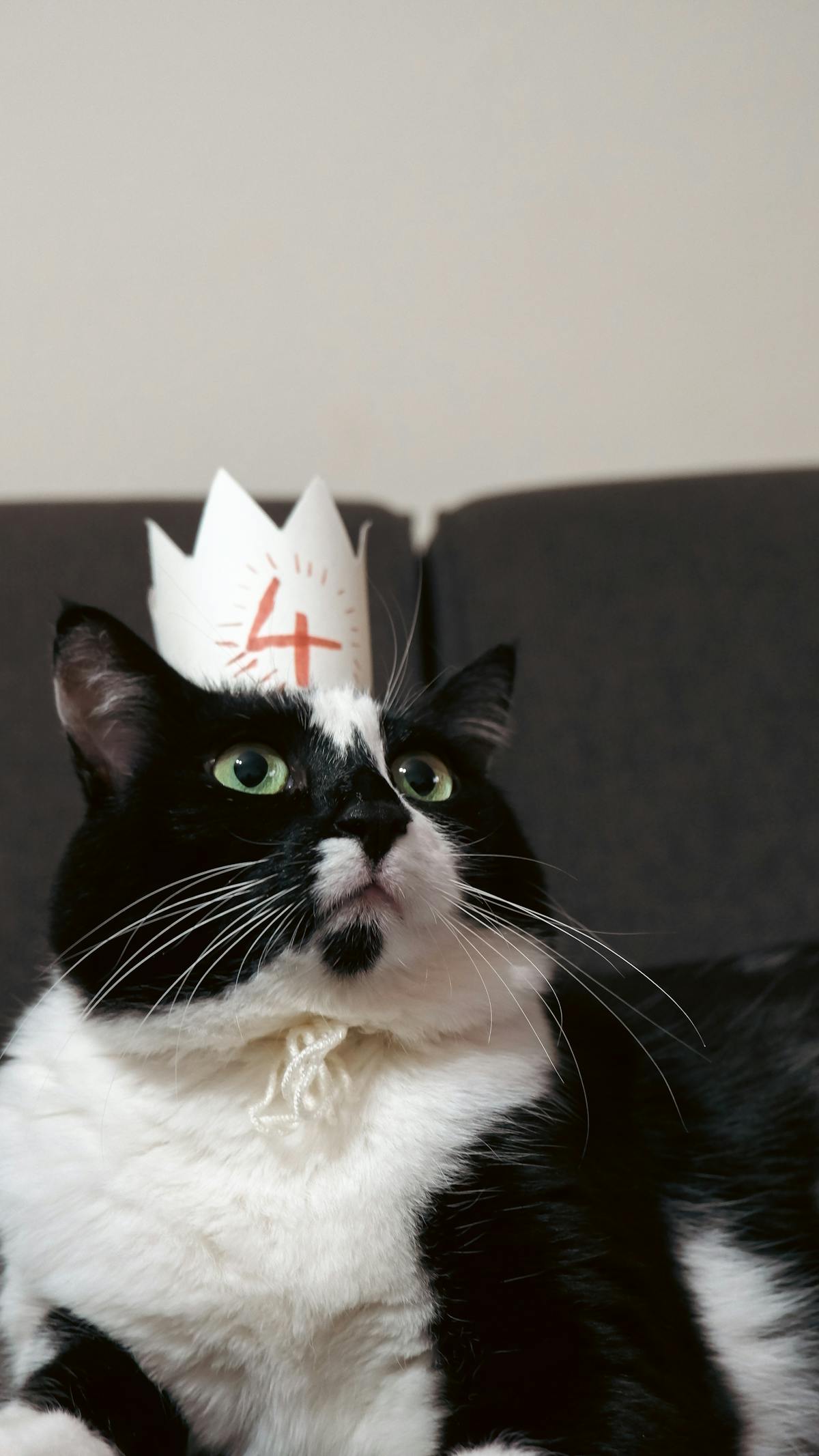 Birthday Preppy Photos, Download The BEST Free Birthday Preppy Stock ...