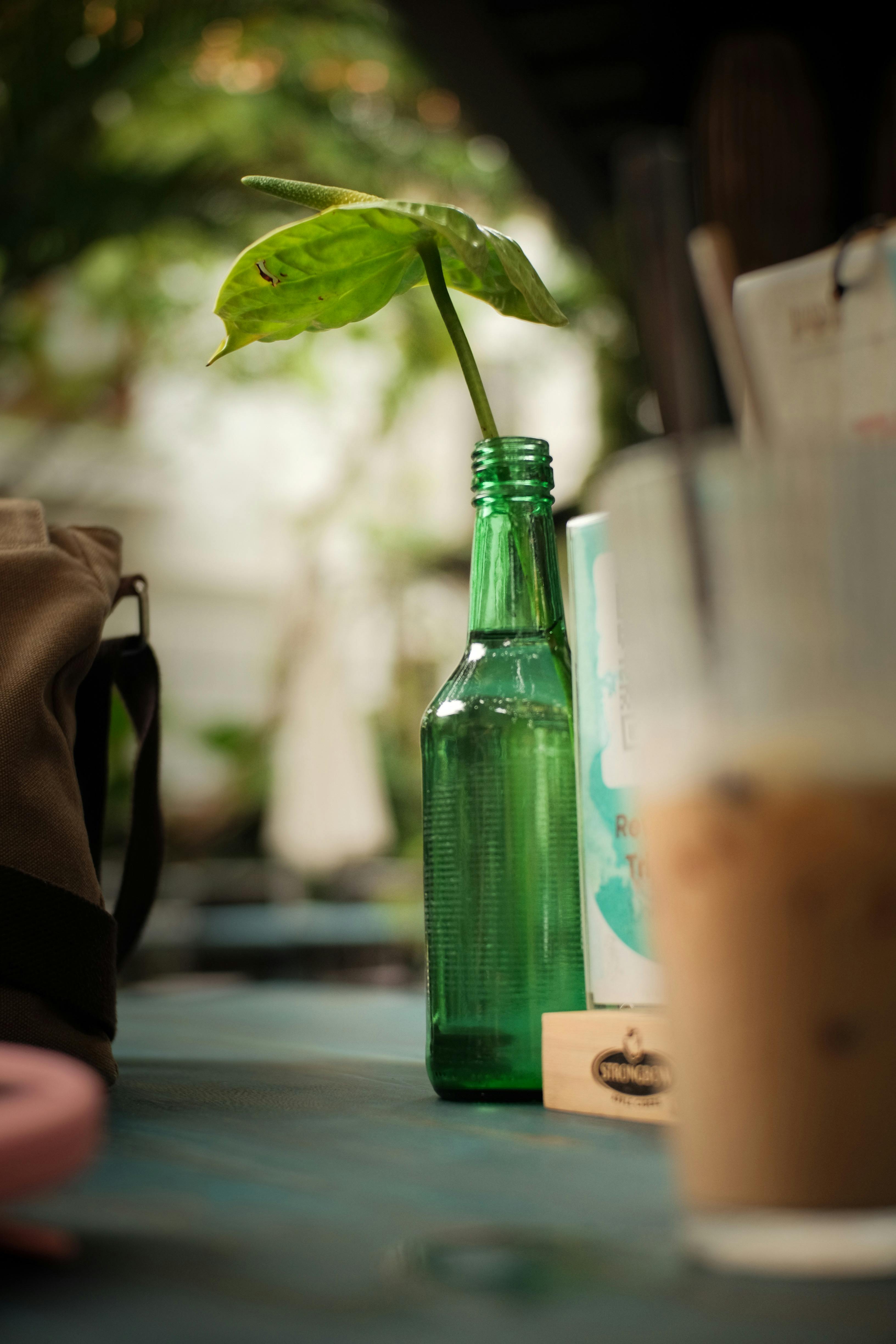 Artistic arrangement with green glass bottle indoors · Free Stock Photo