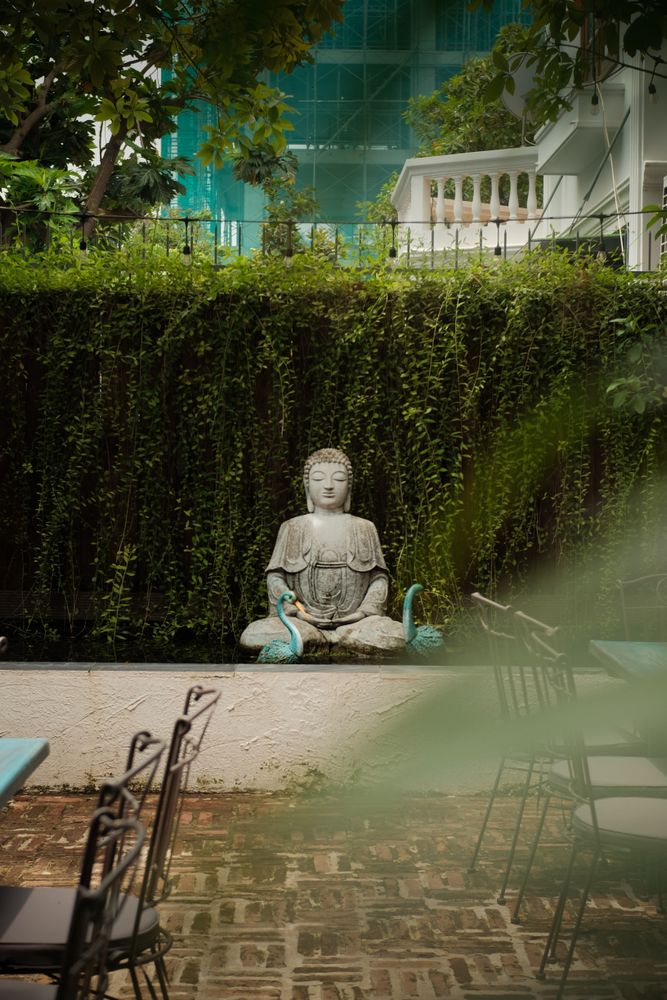Serene Outdoor Photos, Download The BEST Free Serene Outdoor Stock ...