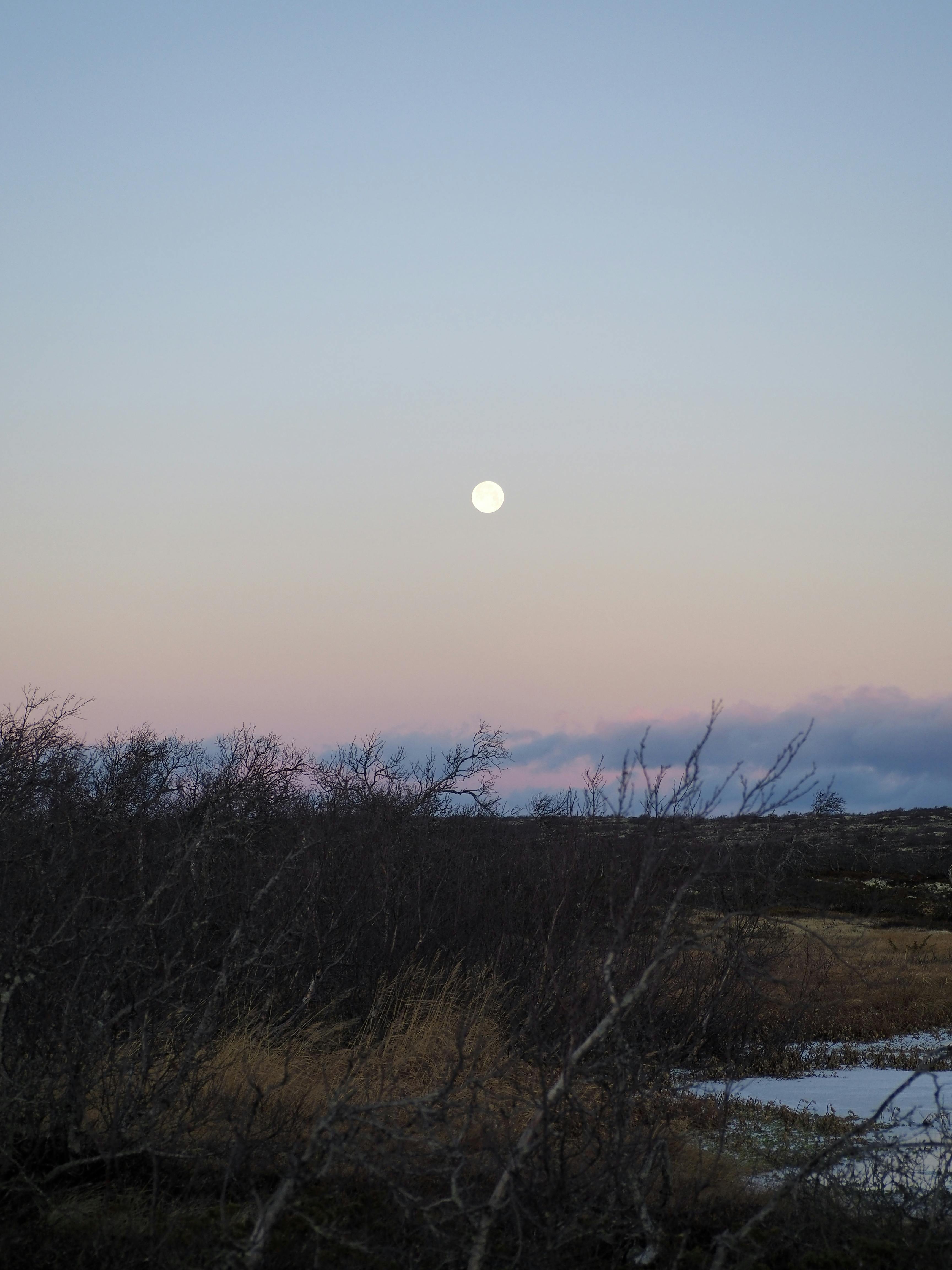 Moonlight Horizon Photos, Download The BEST Free Moonlight Horizon ...