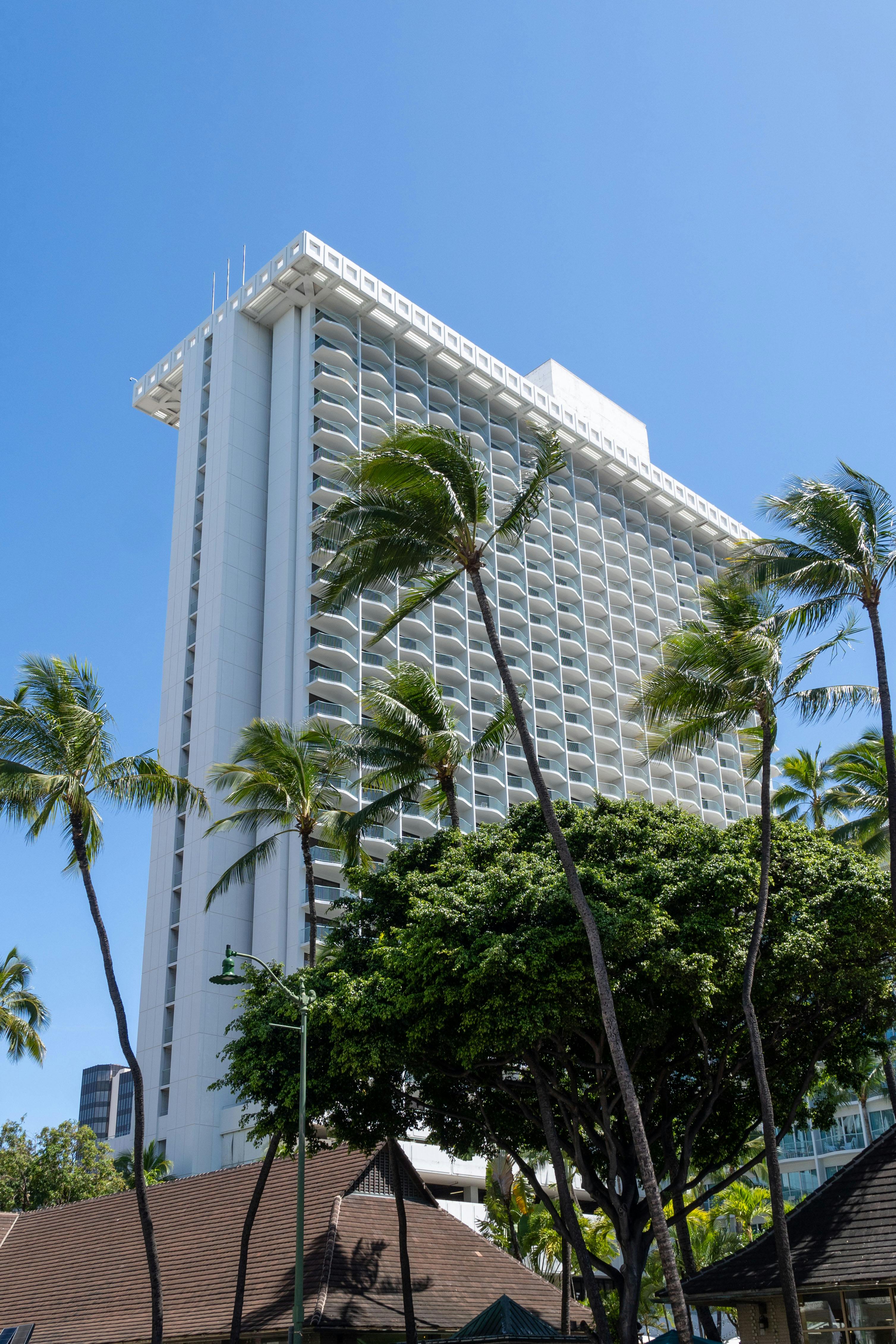 Scenic View of Honolulu High-Rise with Palm Trees · Free Stock Photo