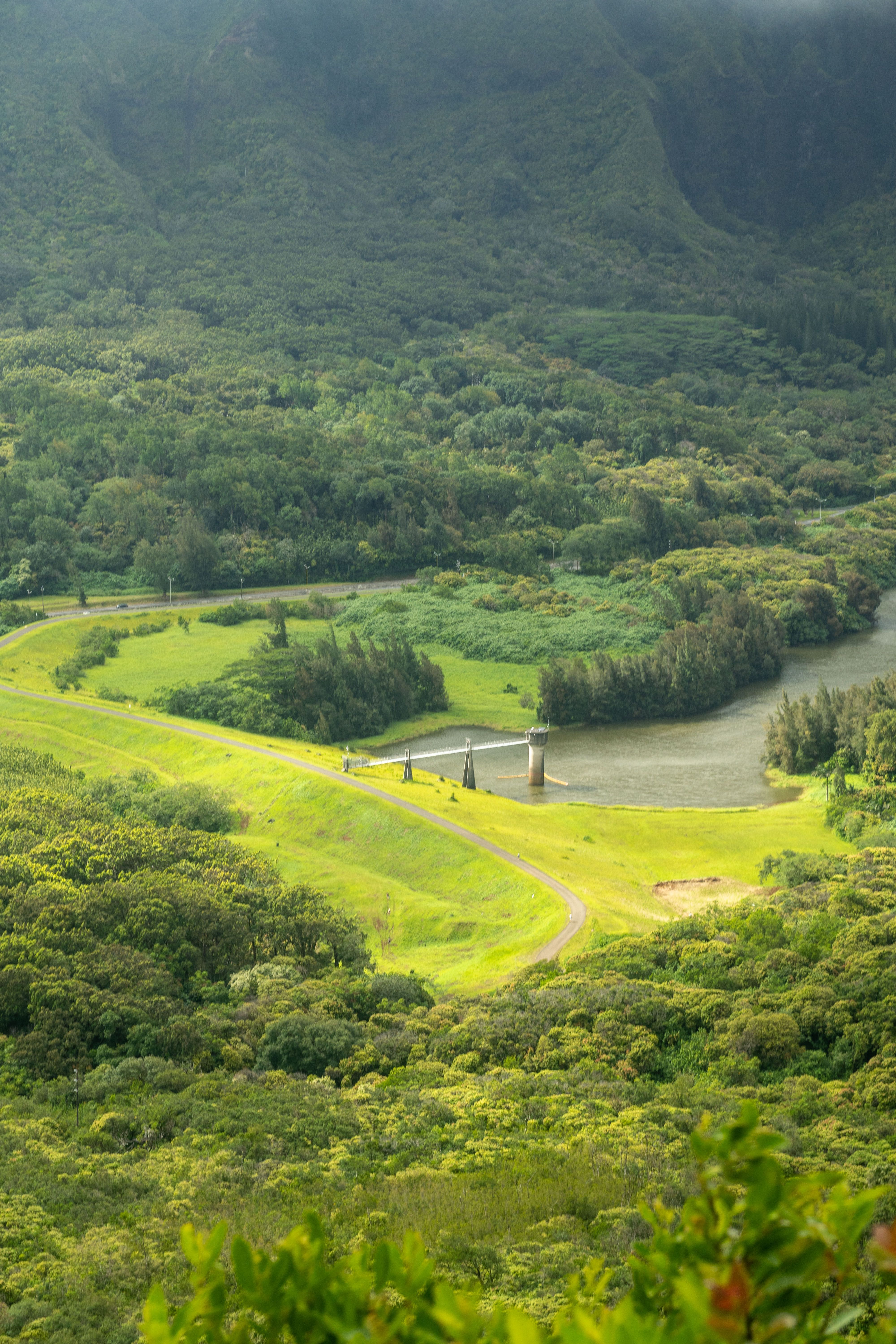 Lush Hawaiian Forest and River Landscape · Free Stock Photo