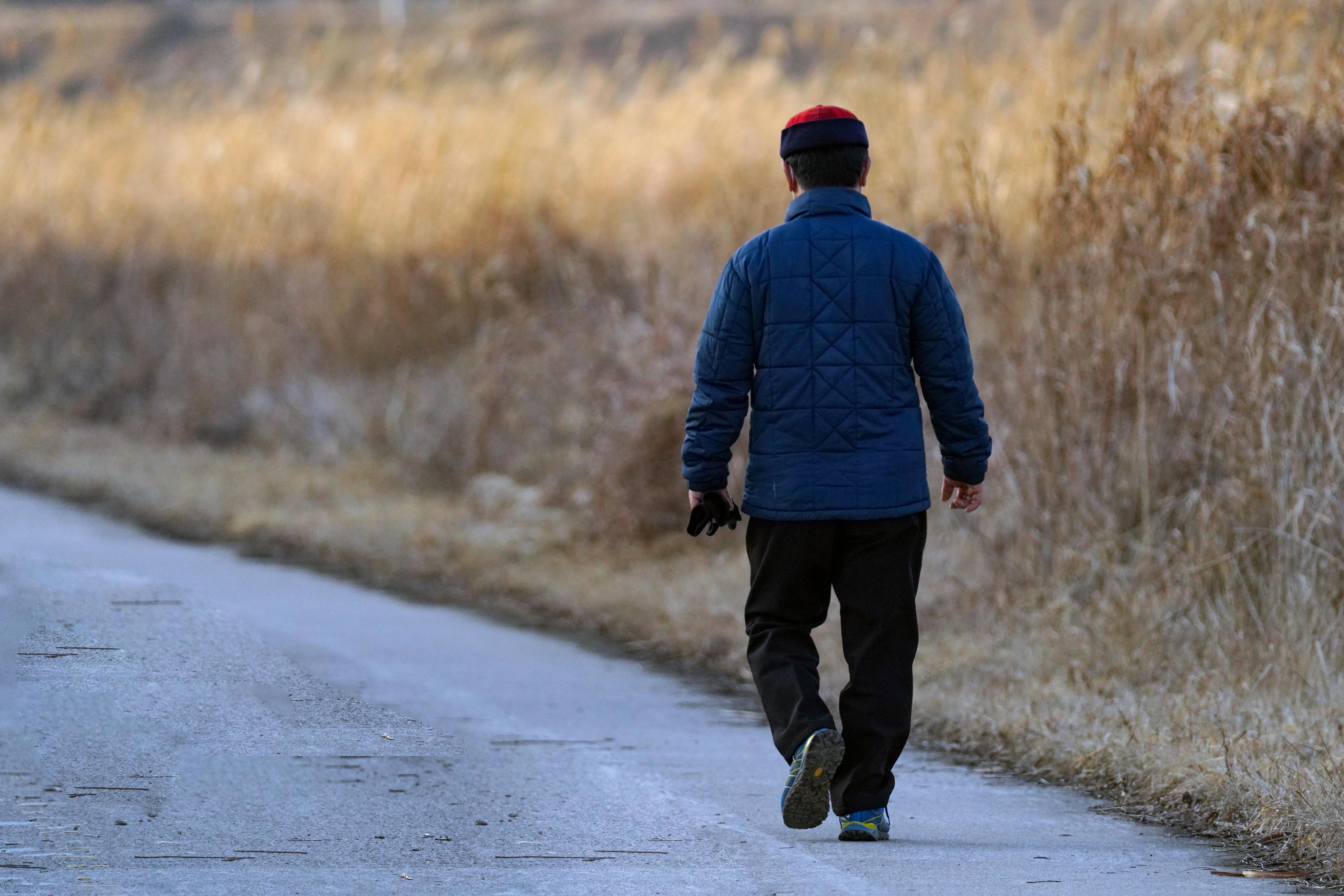 Solitary Walk in Rural Landscape During Winter · Free Stock Photo