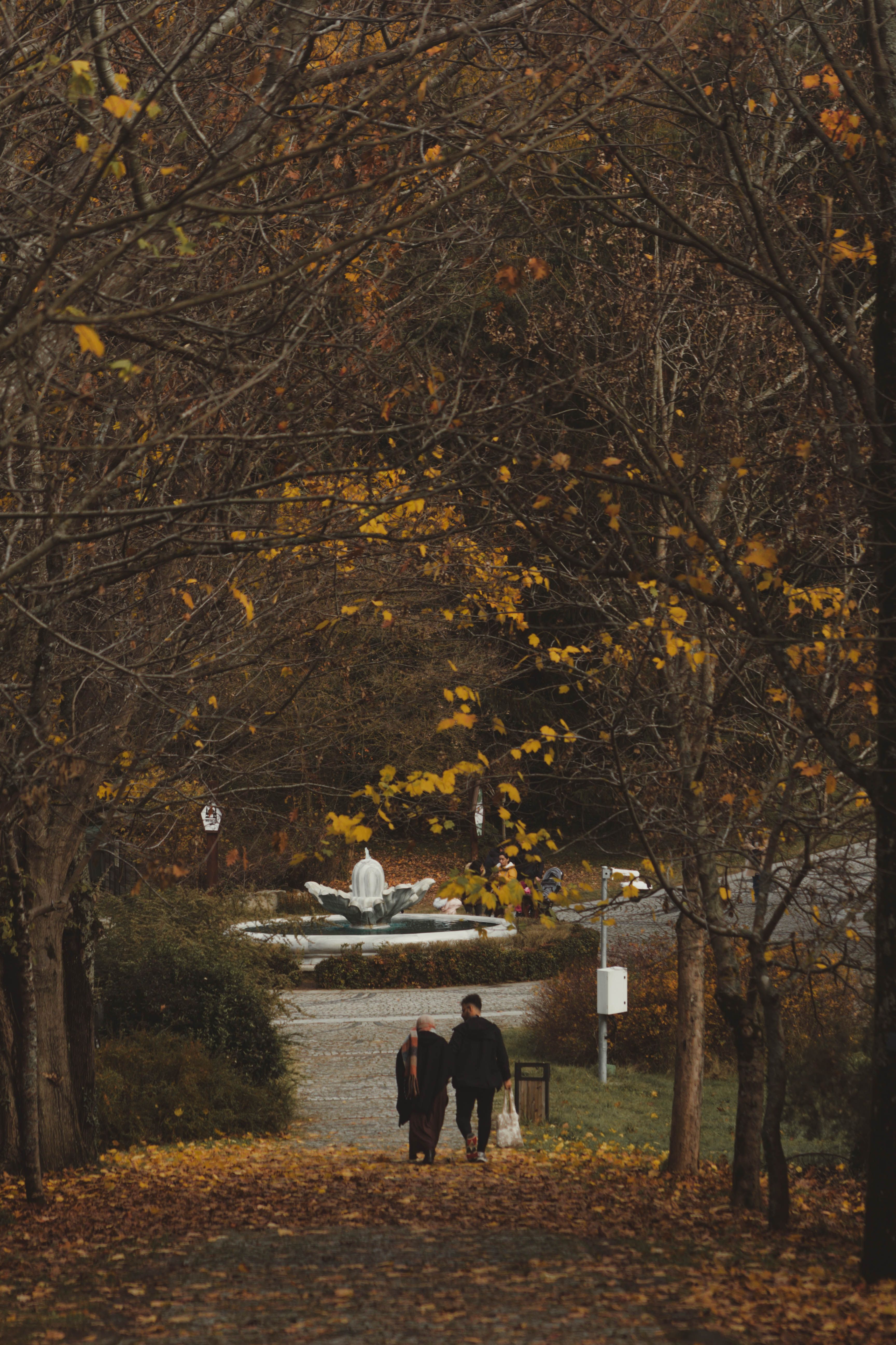 Autumn Walkway in İstanbul Park · Free Stock Photo