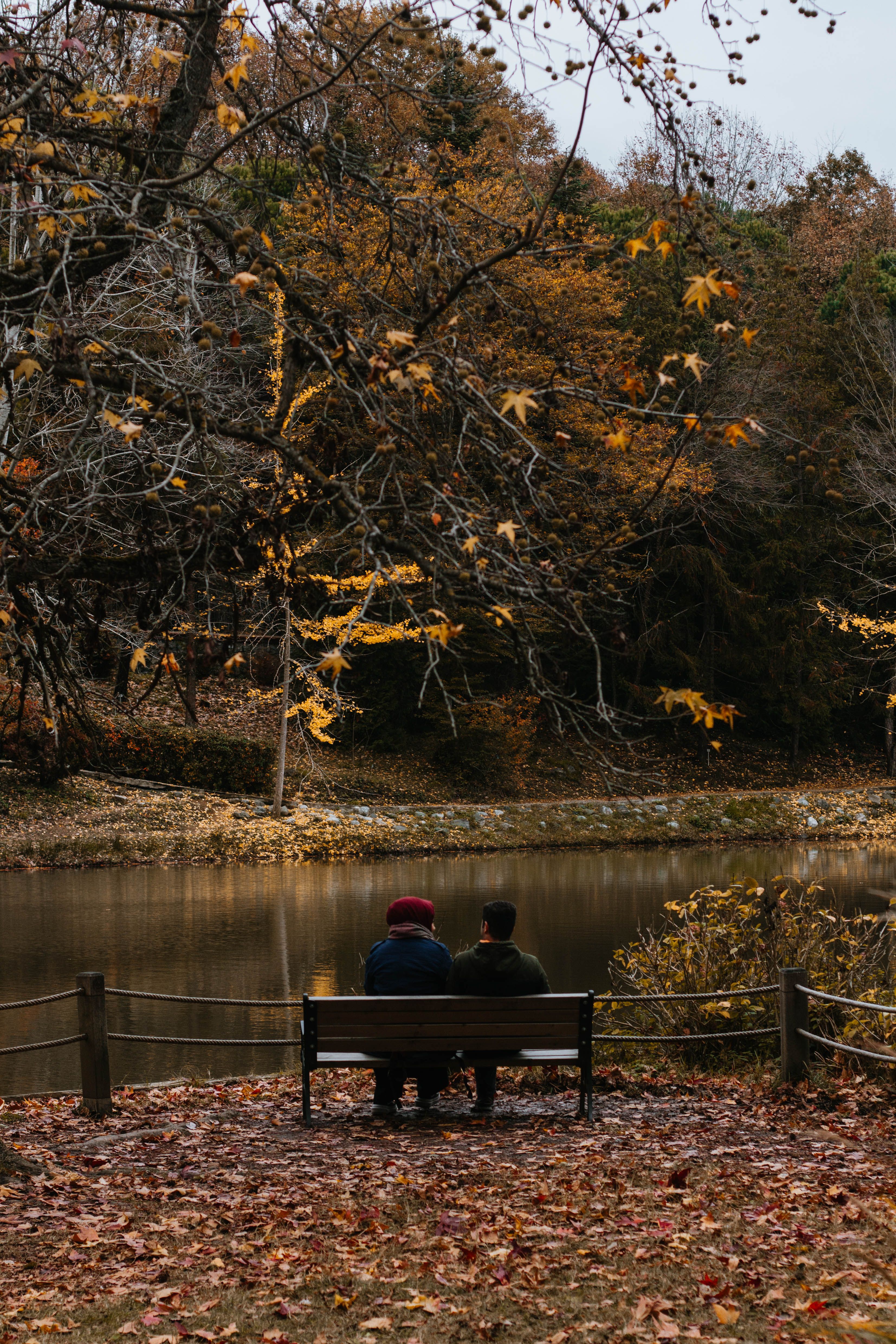 Serene Autumn Day in İstanbul Park · Free Stock Photo