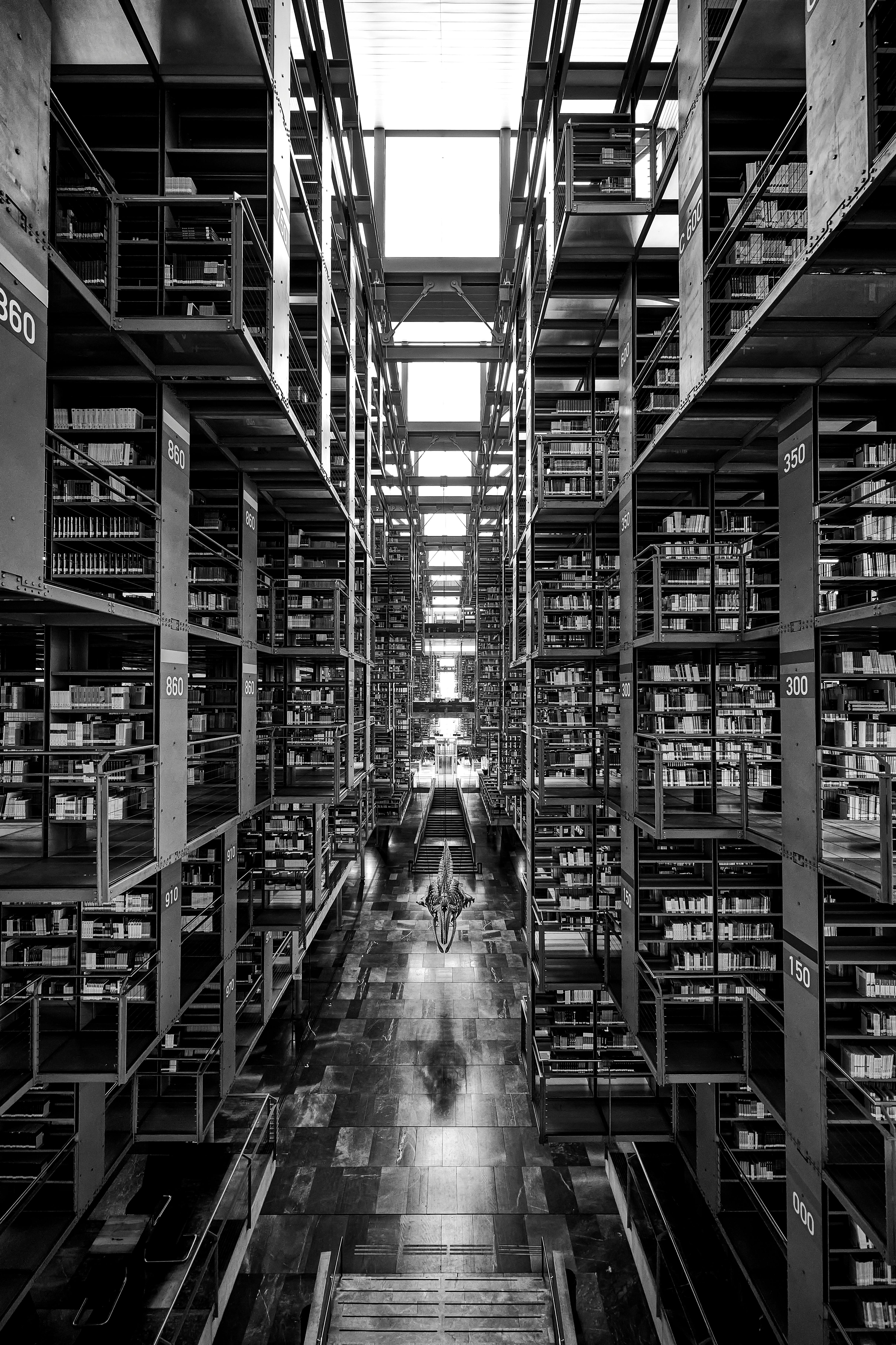 Monochrome Modern Library Bookshelf Aisle · Free Stock Photo