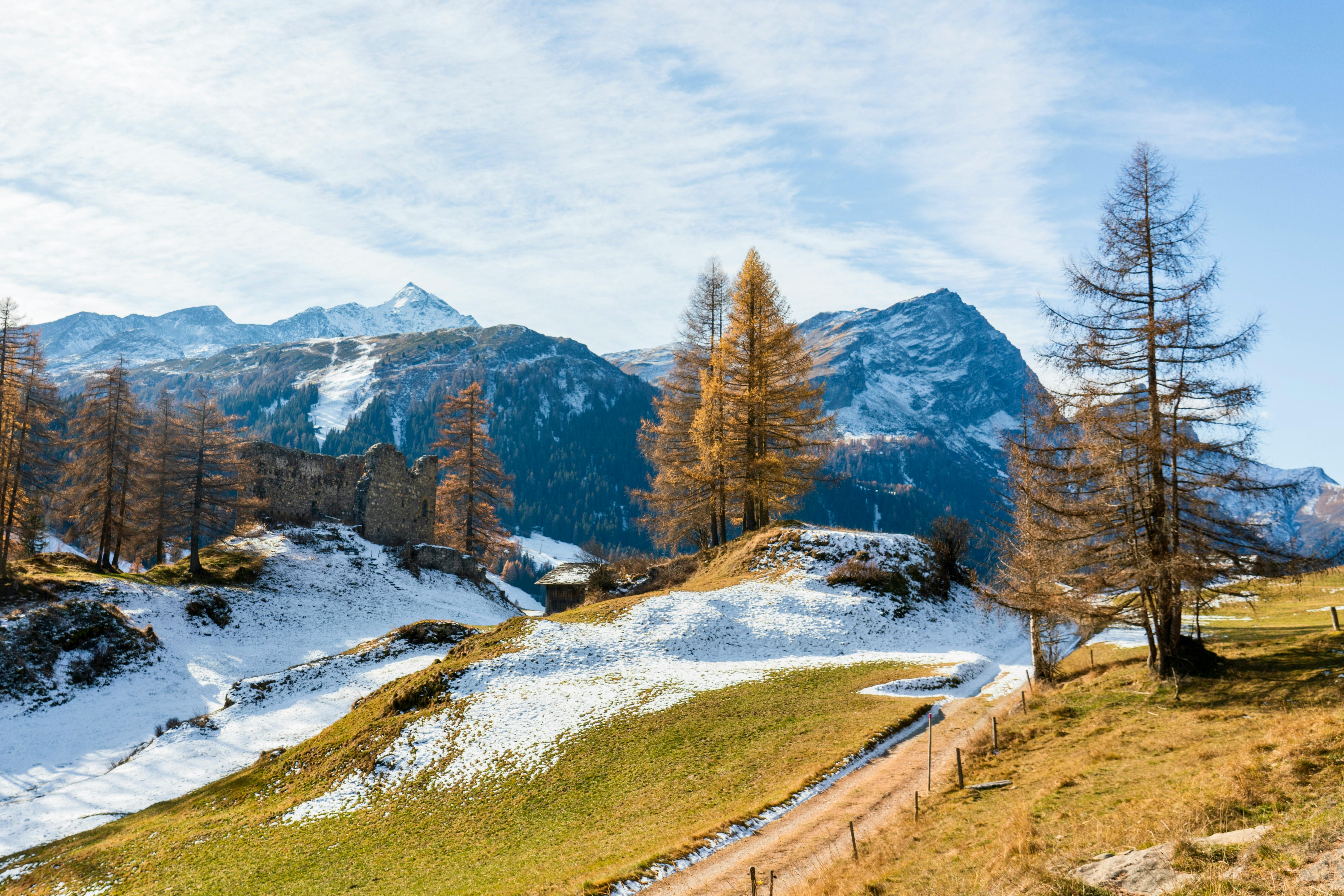 Snowy Alpine Landscape with Larch Trees · Free Stock Photo