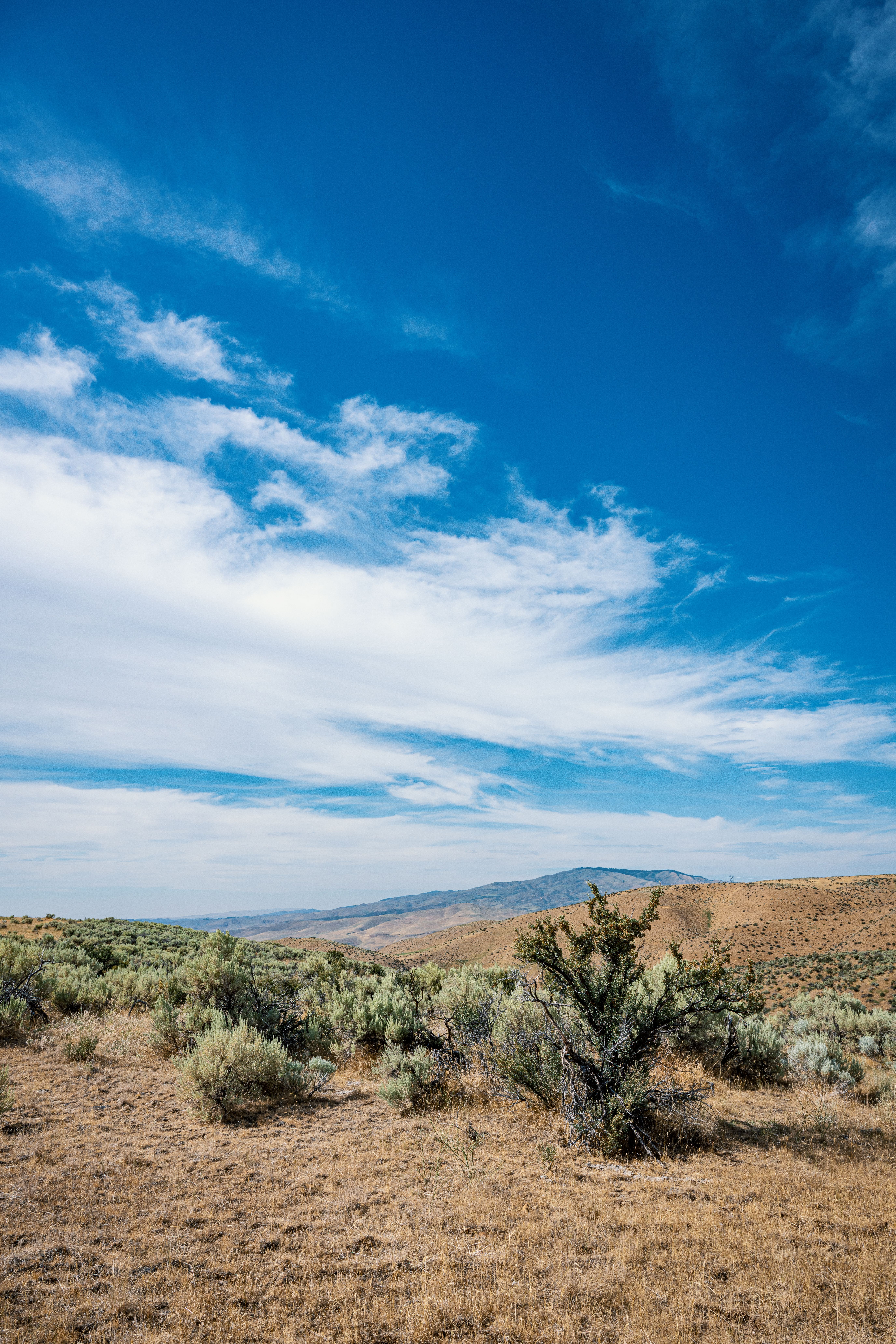 Sprawling Sagebrush Landscape in Boise, Idaho · Free Stock Photo