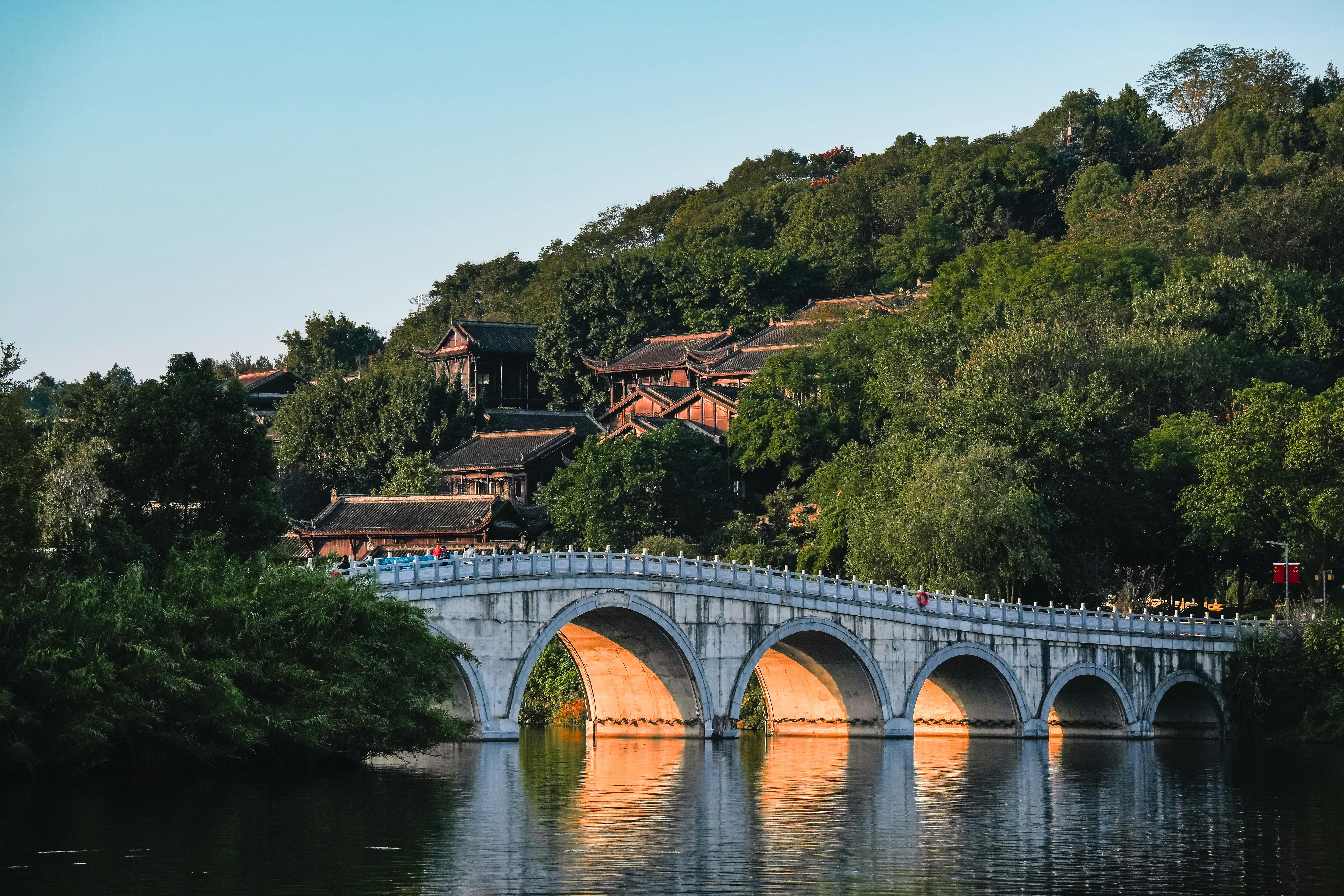 Pont Chinois Traditionnel Pittoresque Dans La Nature · Photo gratuite