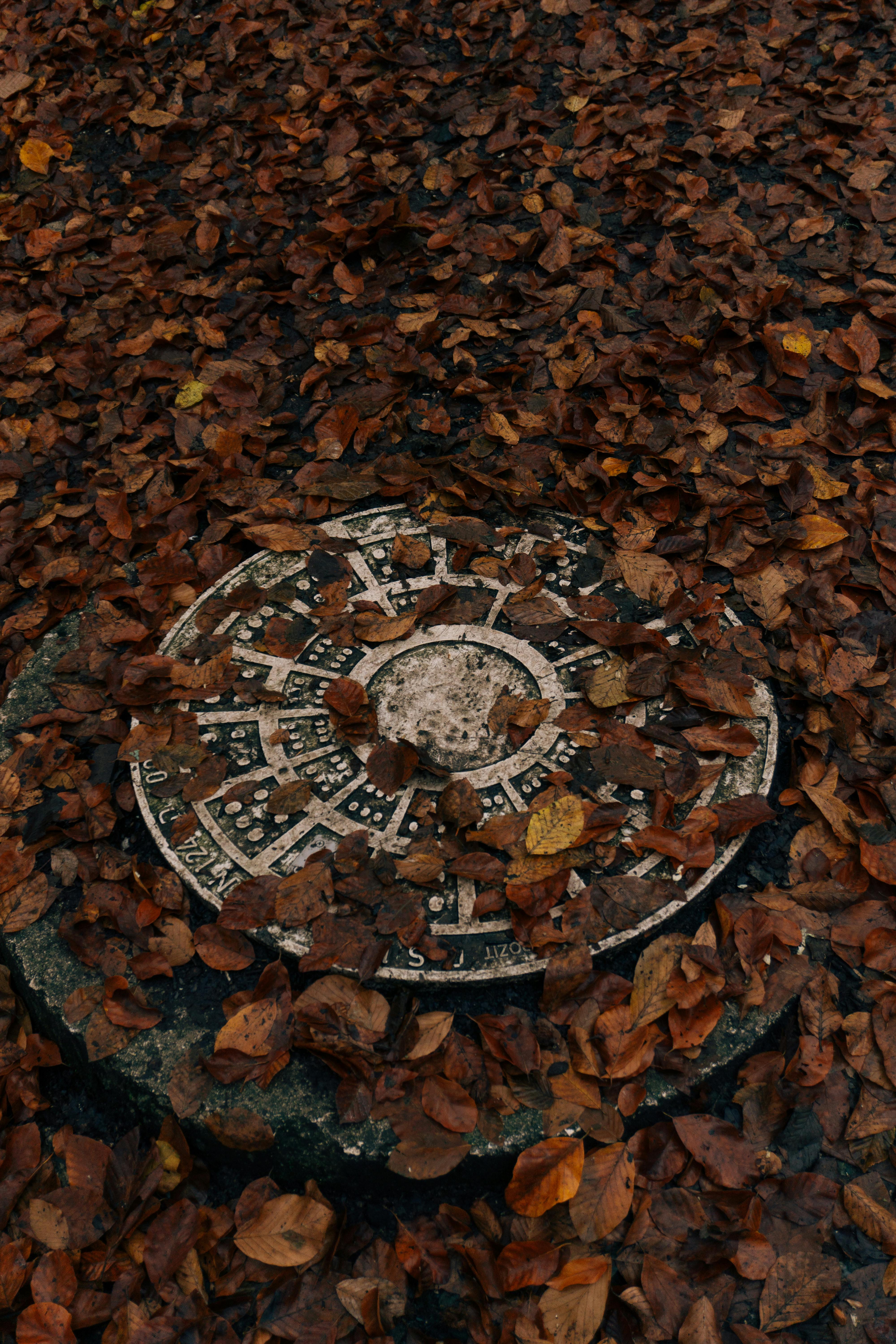 Rustic Manhole Cover Surrounded by Autumn Leaves · Free Stock Photo