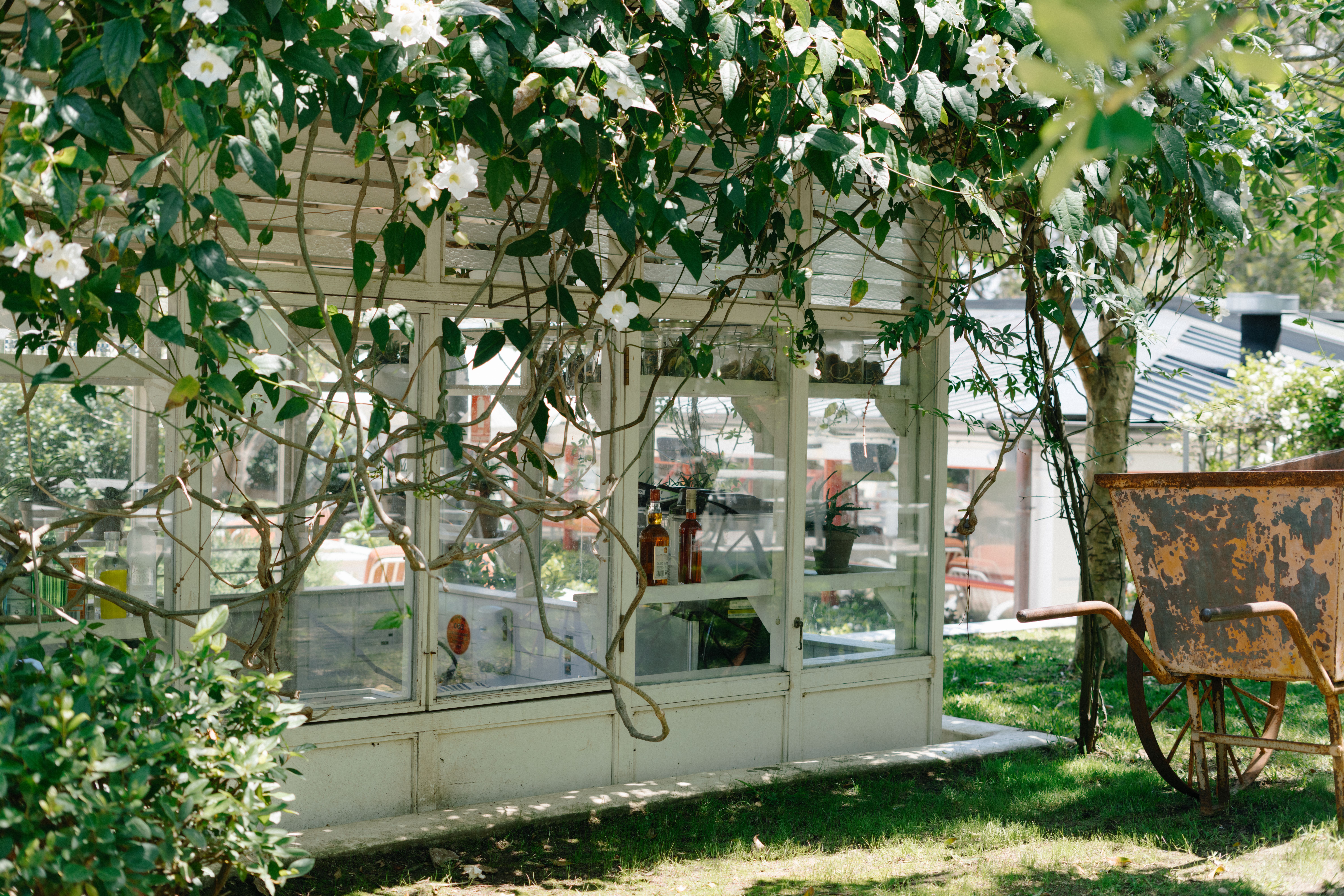 Charming Garden Greenhouse with Floral Vines · Free Stock Photo