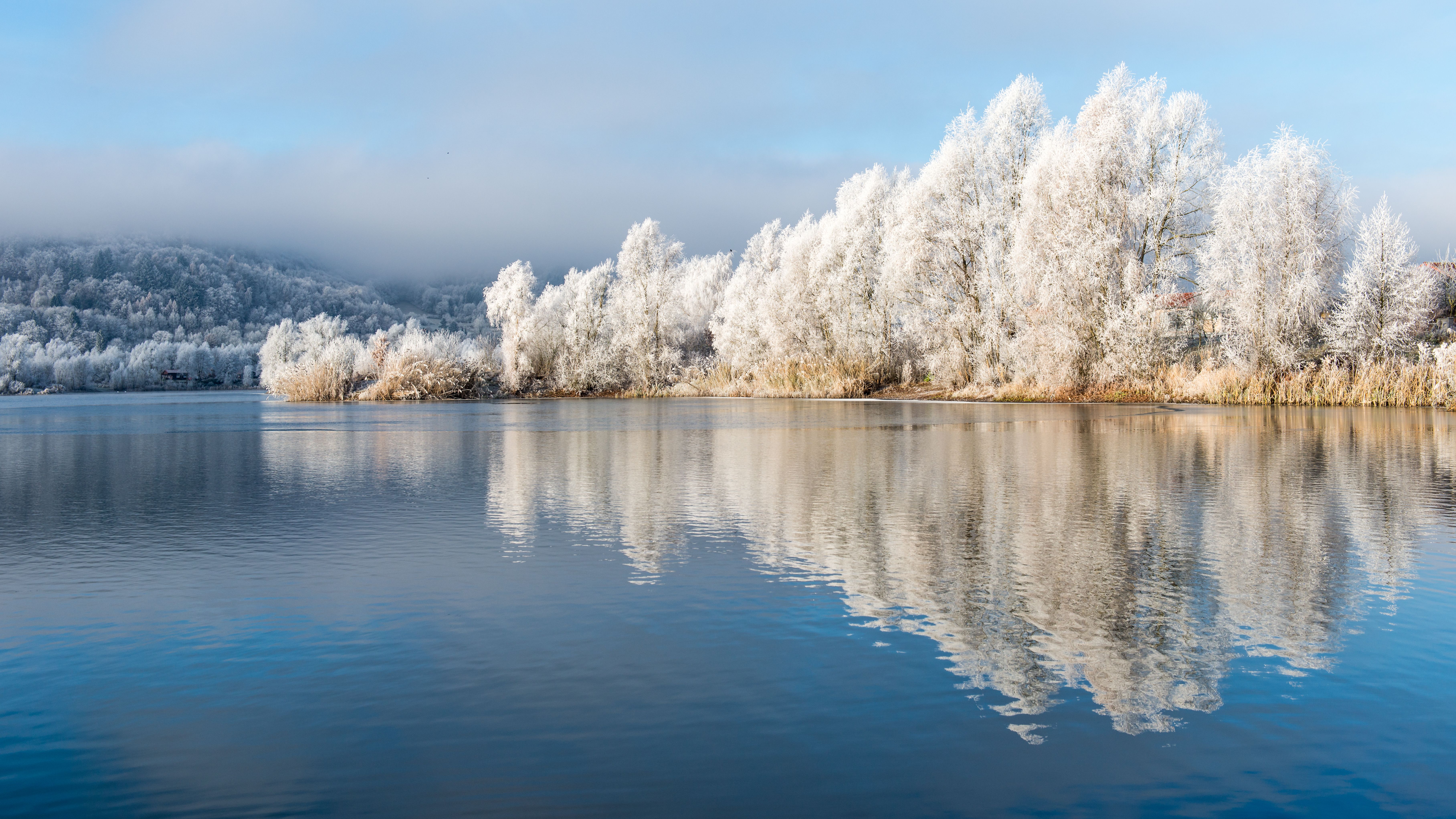 Idyllic Winter River Landscape with Frosted Trees · Free Stock Photo