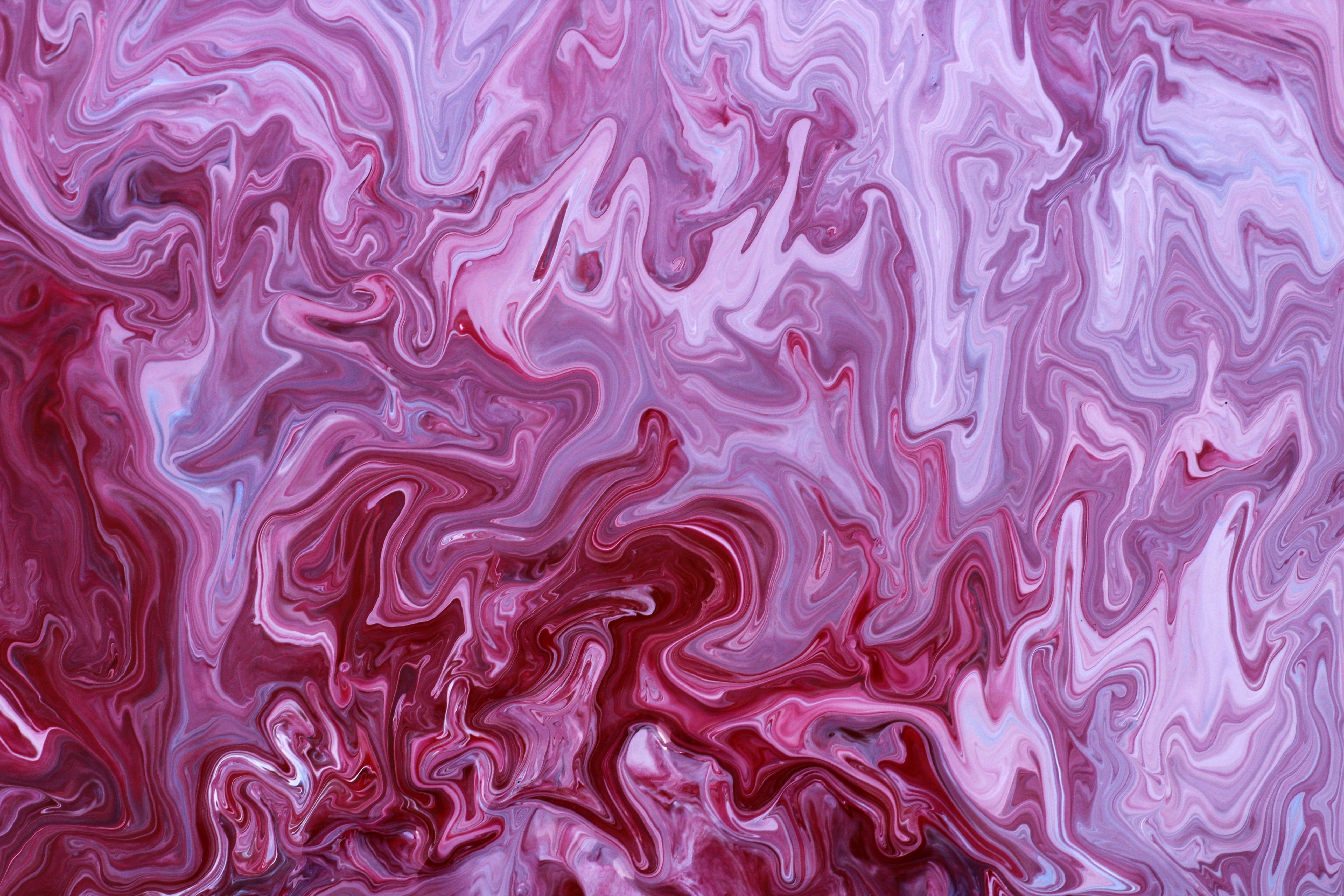 Abstract Pink and Red Swirling Patterns · Free Stock Photo