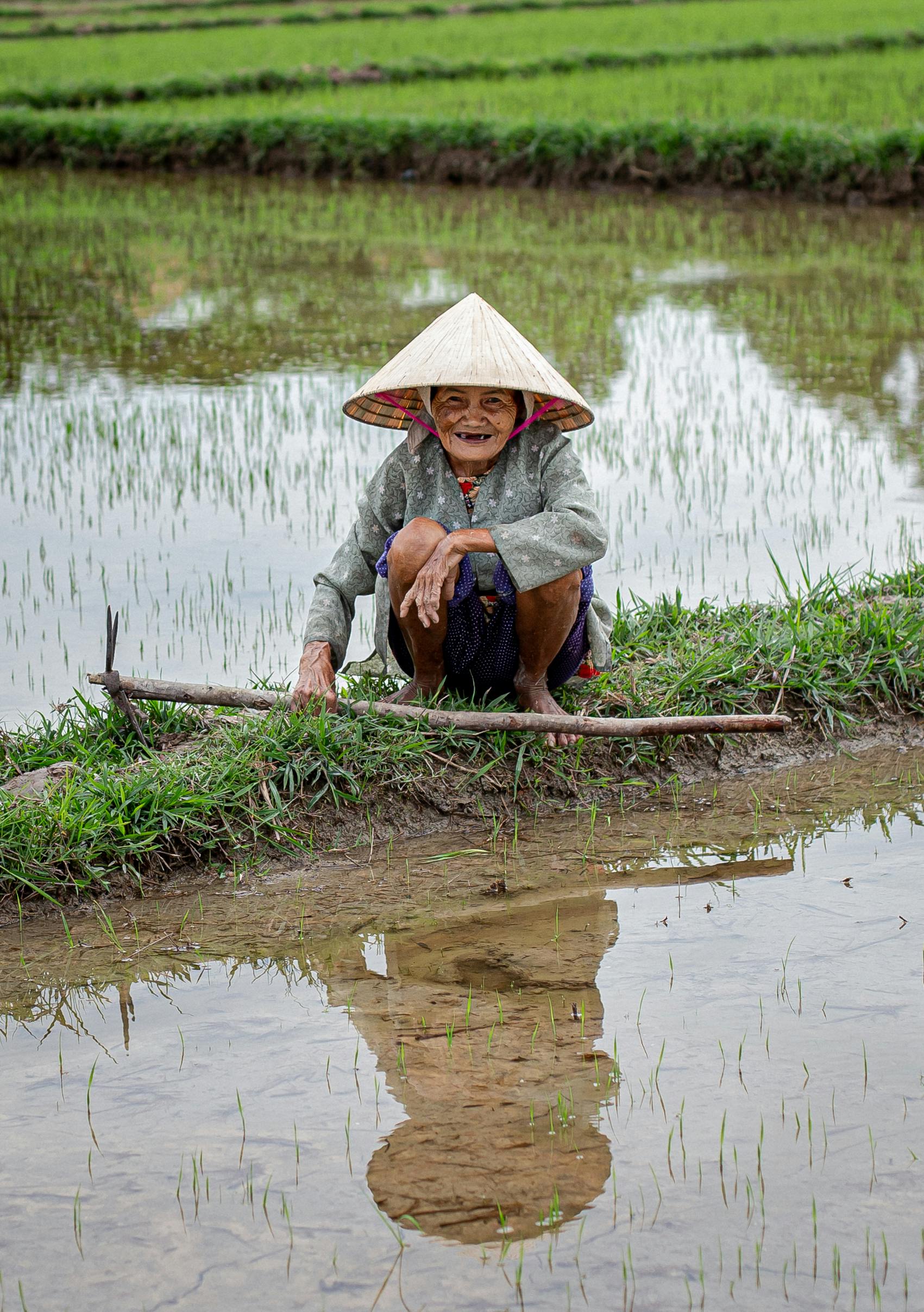 Vietnamese Farmer in Rice Fields Reflection · Free Stock Photo