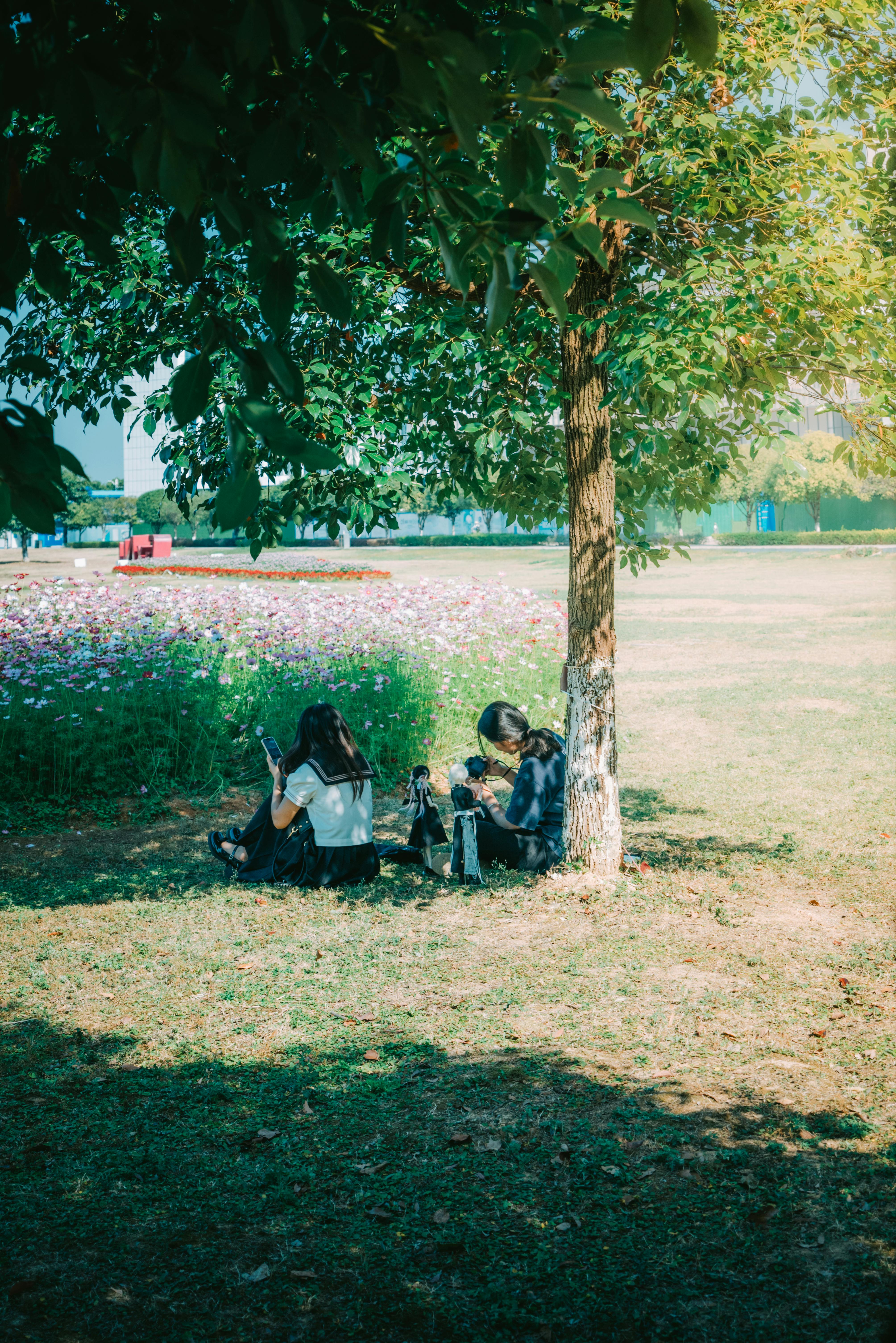 Picnic Under Tree in Sunny Park Setting · Free Stock Photo