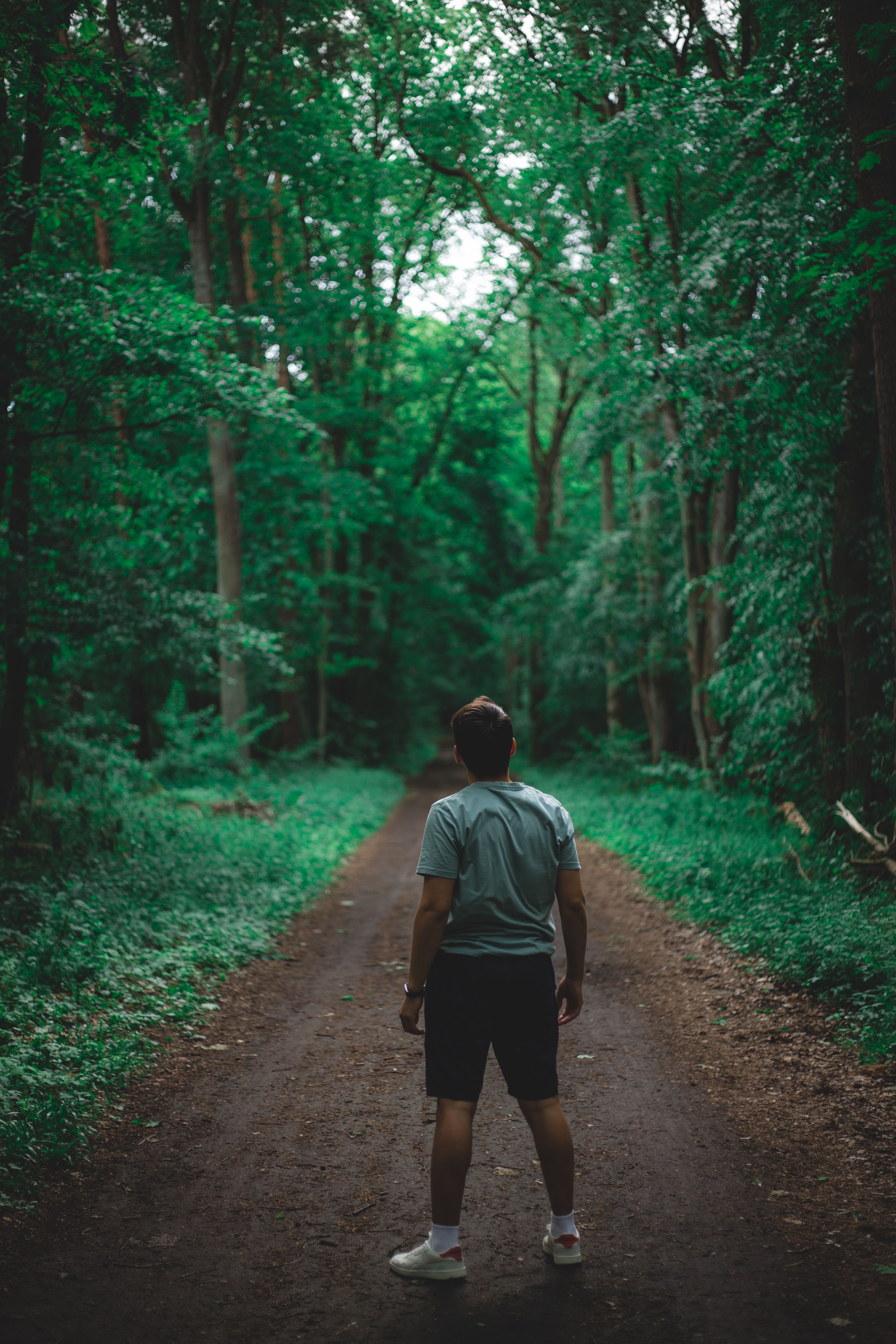 Man Standing on Forest Path in Lush Greenery · Free Stock Photo