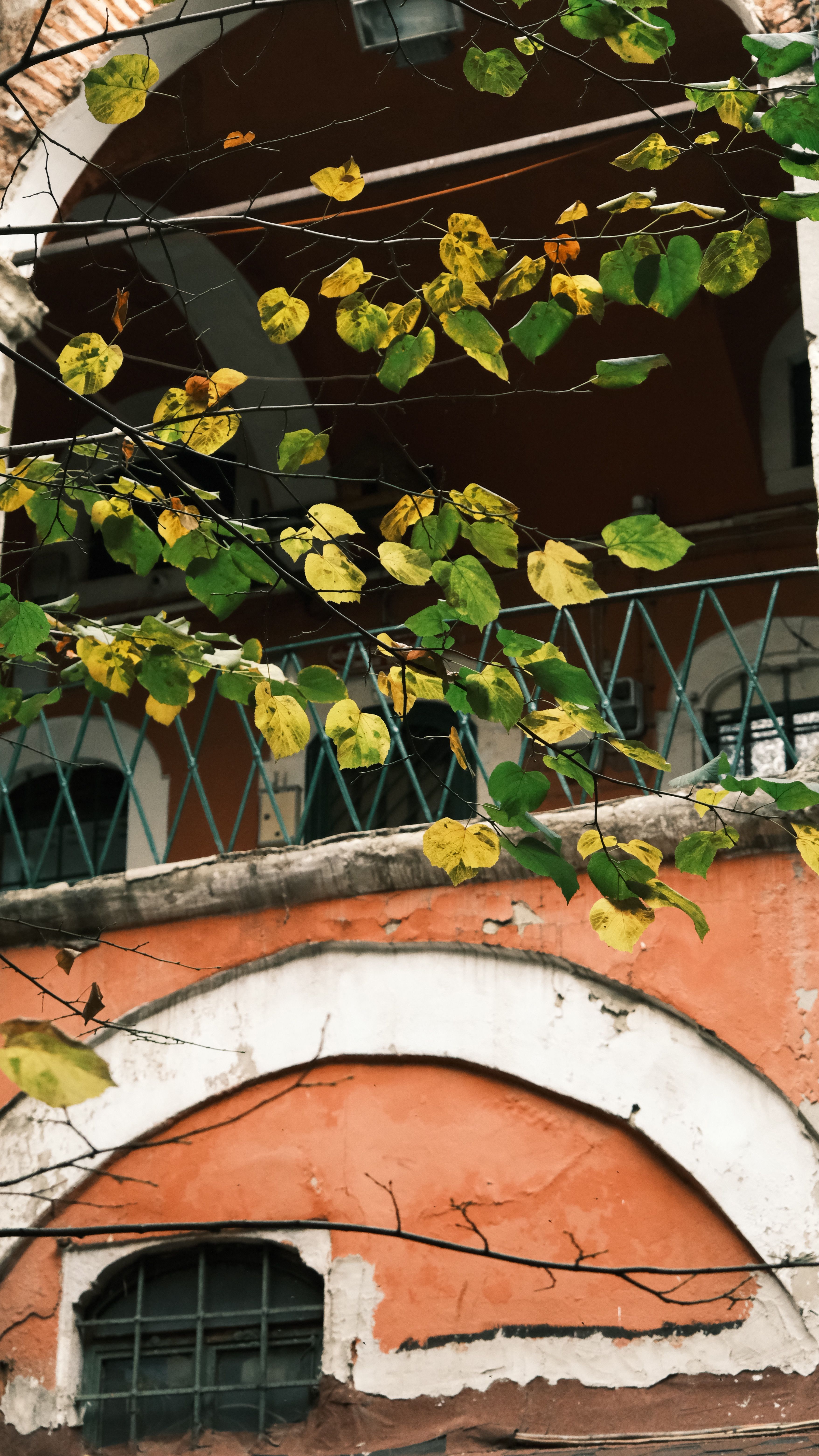 Autumn Leaves against Vintage Building Façade · Free Stock Photo