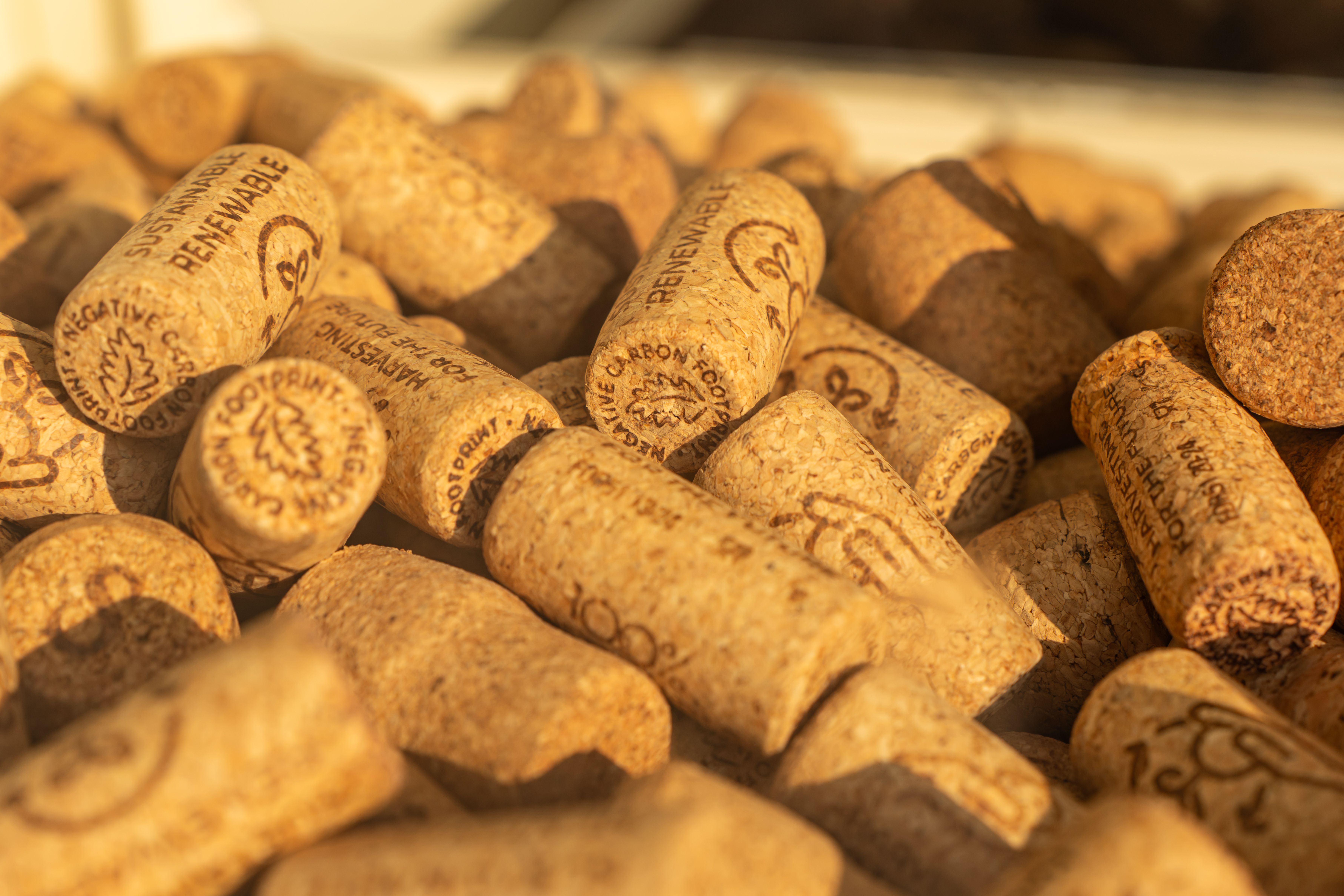 Cork Material Photos, Download The BEST Free Cork Material Stock Photos ...