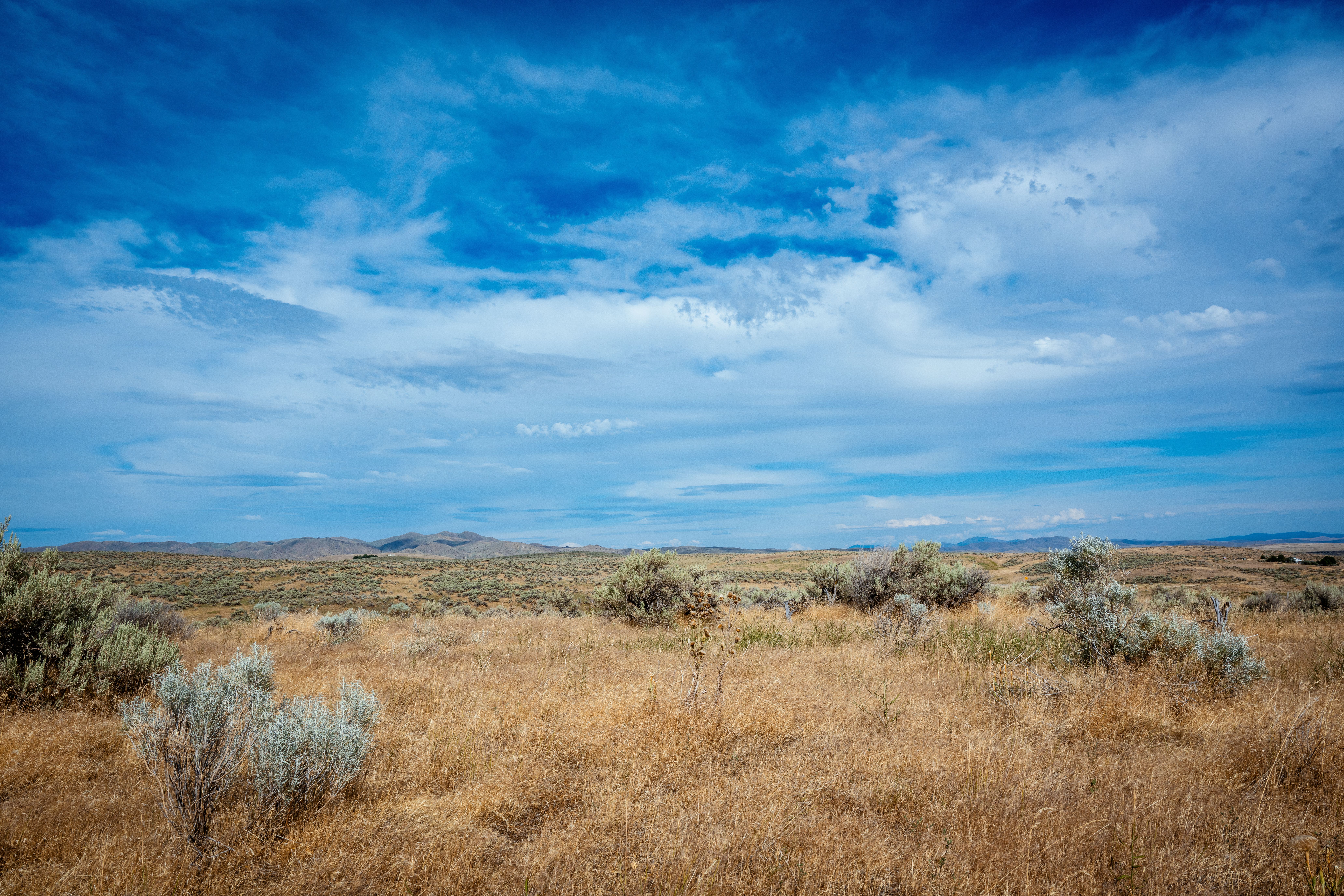 Vast Sagebrush Landscape Under Blue Sky in Boise Idaho · Free Stock Photo