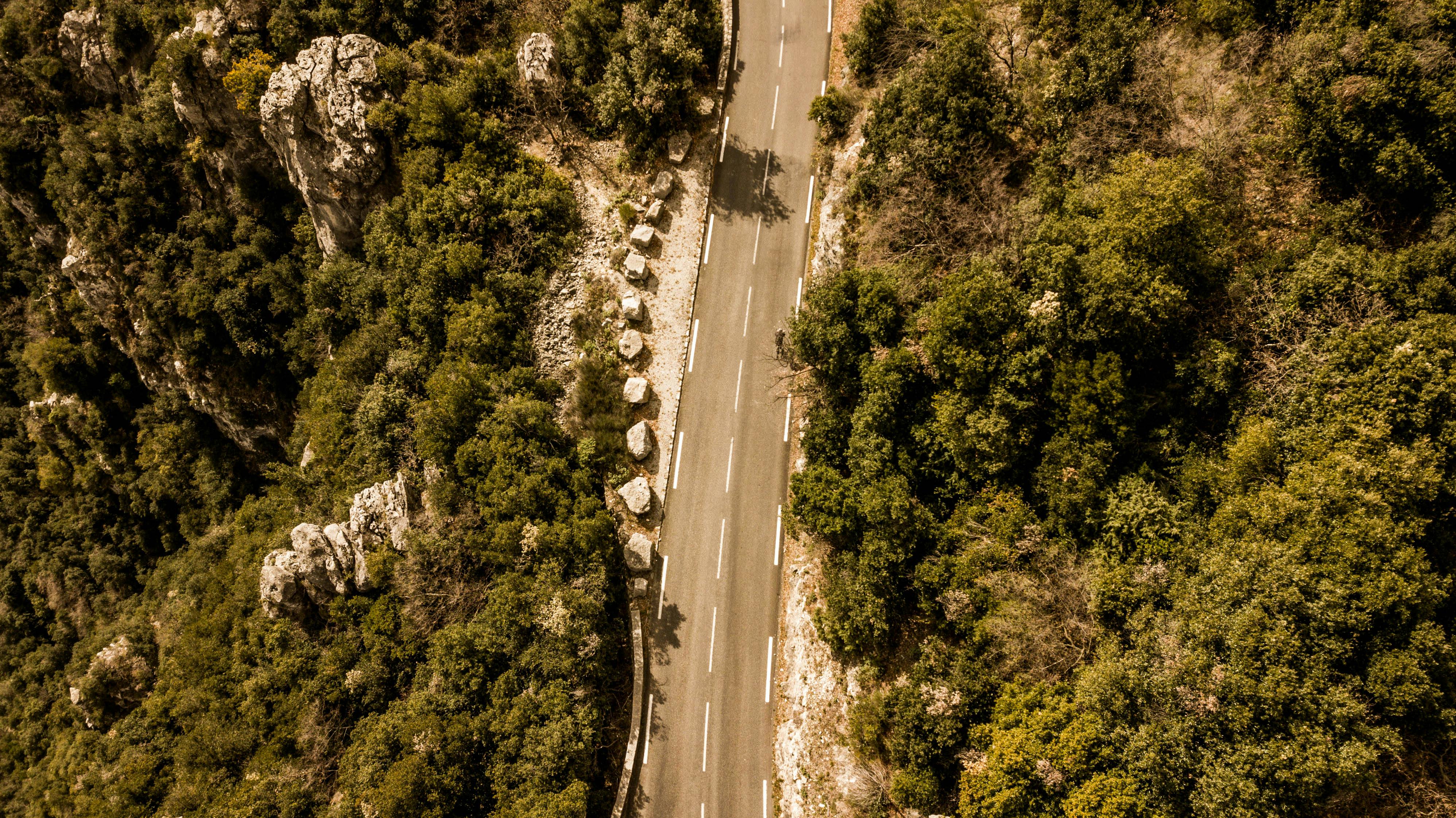 Aerial Photo of Road Between Forest · Free Stock Photo