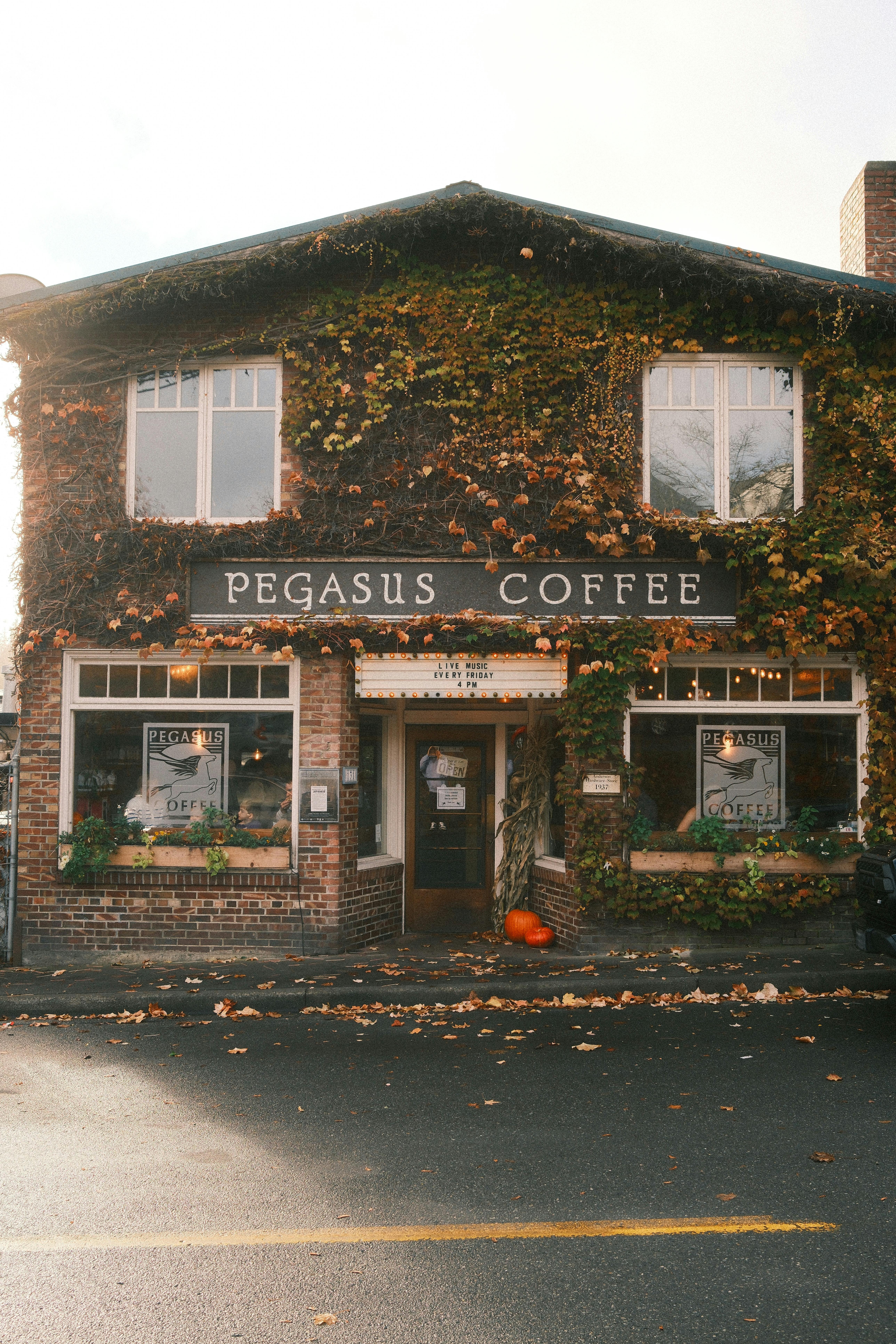 Pegasus Coffee Photos, Download The BEST Free Pegasus Coffee Stock Photos & HD Images