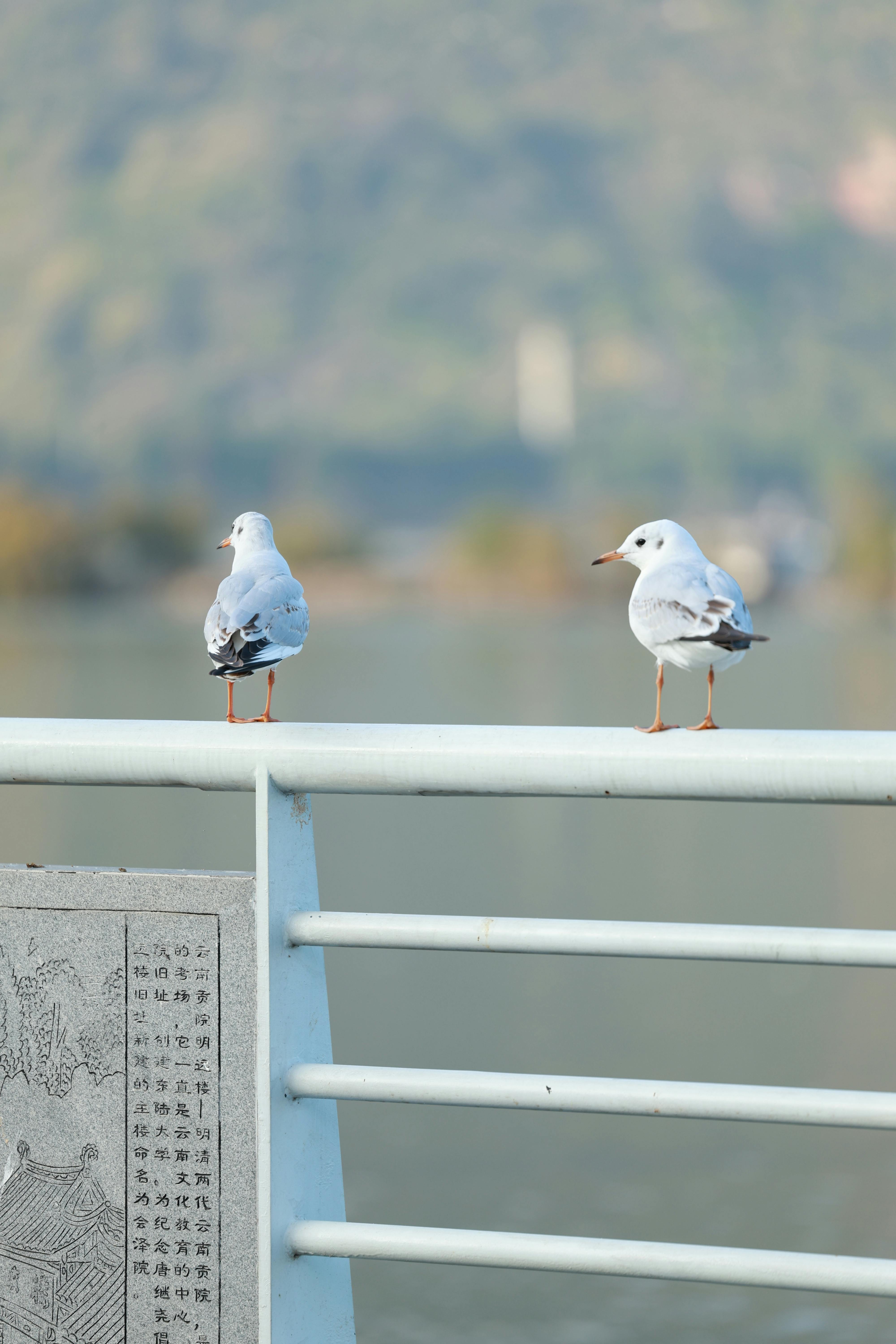 Cherity Photos, Download The BEST Free Cherity Stock Photos & HD Images