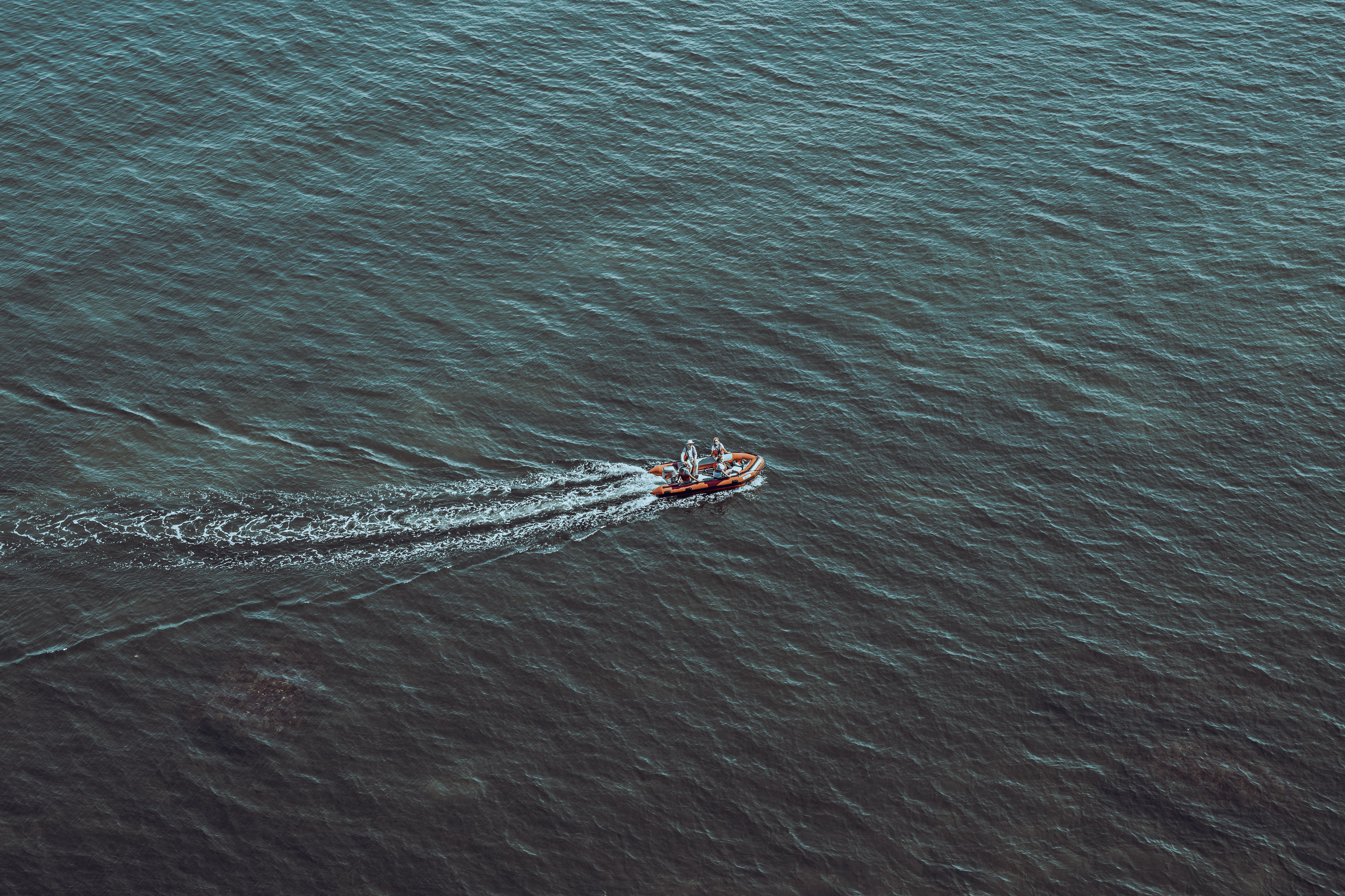 Speedboat Cutting Through Gulf of St. Lawrence Waters · Free Stock Photo