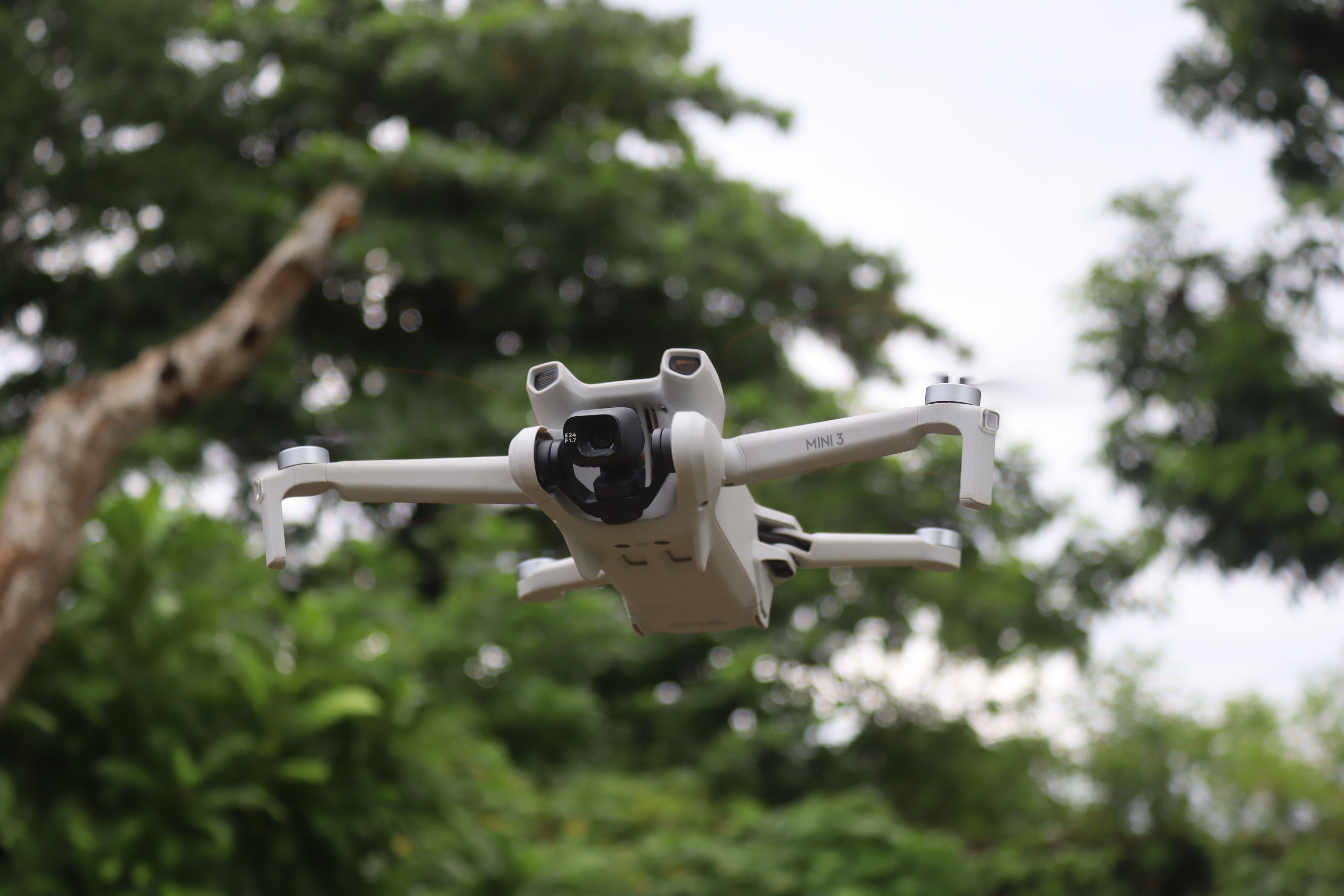 Drone Hovering in Lush Green Environment · Free Stock Photo