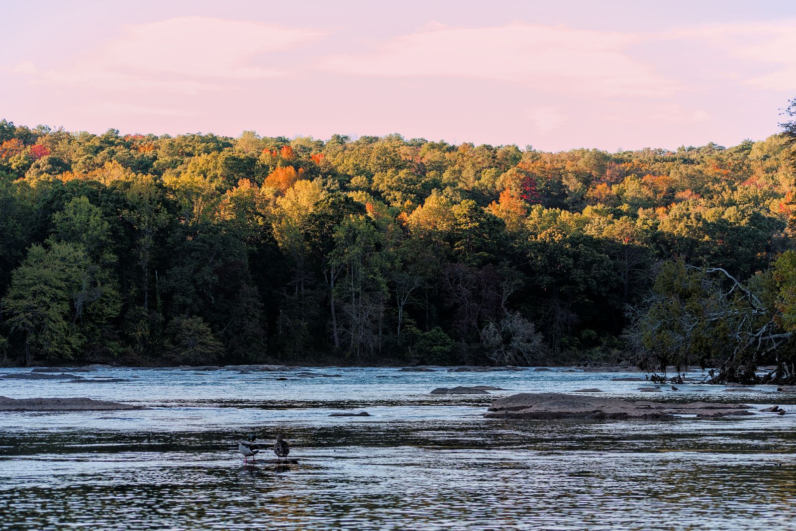 Chattahoochee River In South Atlanta Photos, Download The BEST Free ...