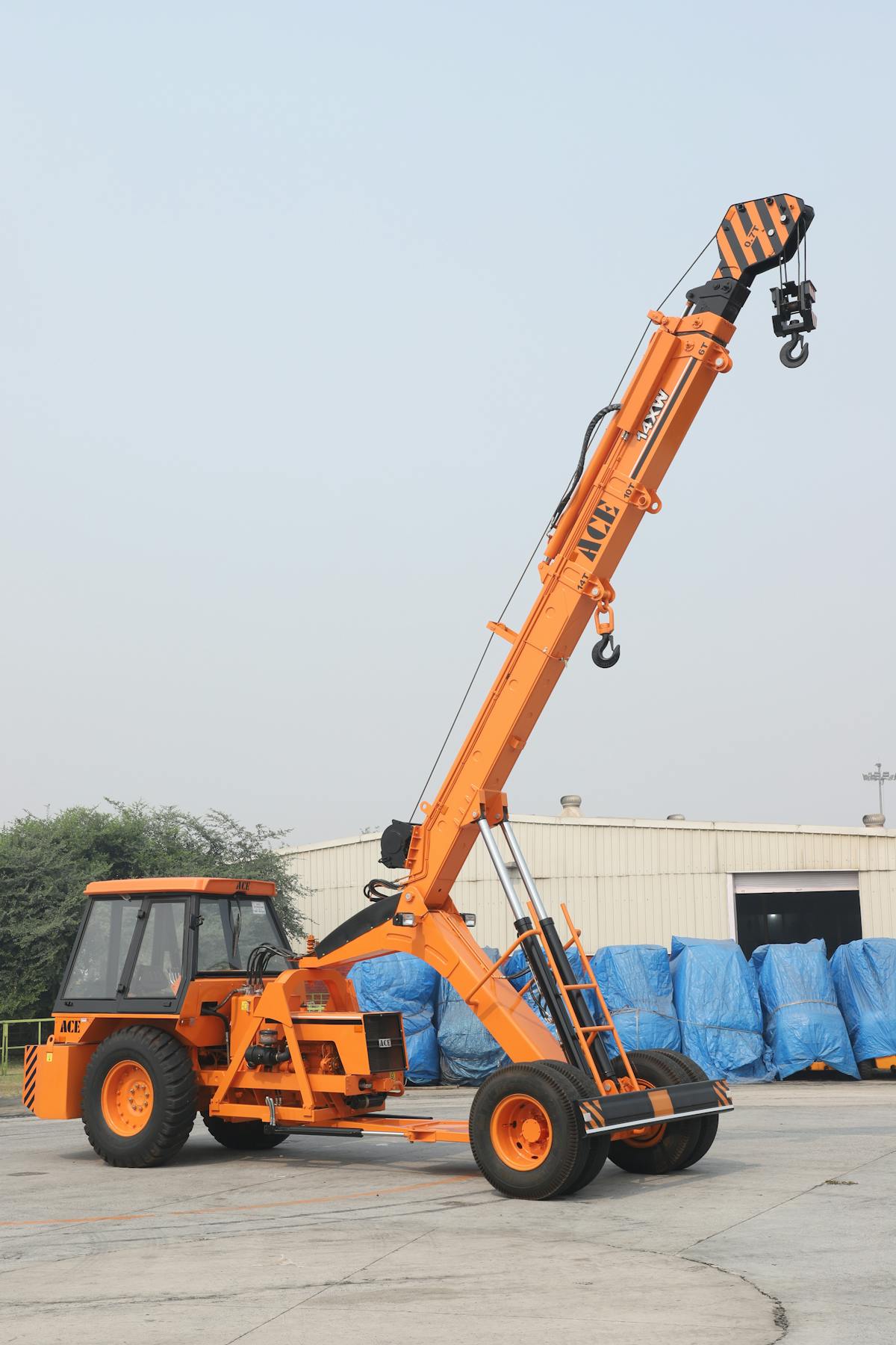 Hydra Photos, Download The BEST Free Hydra Stock Photos & HD Images