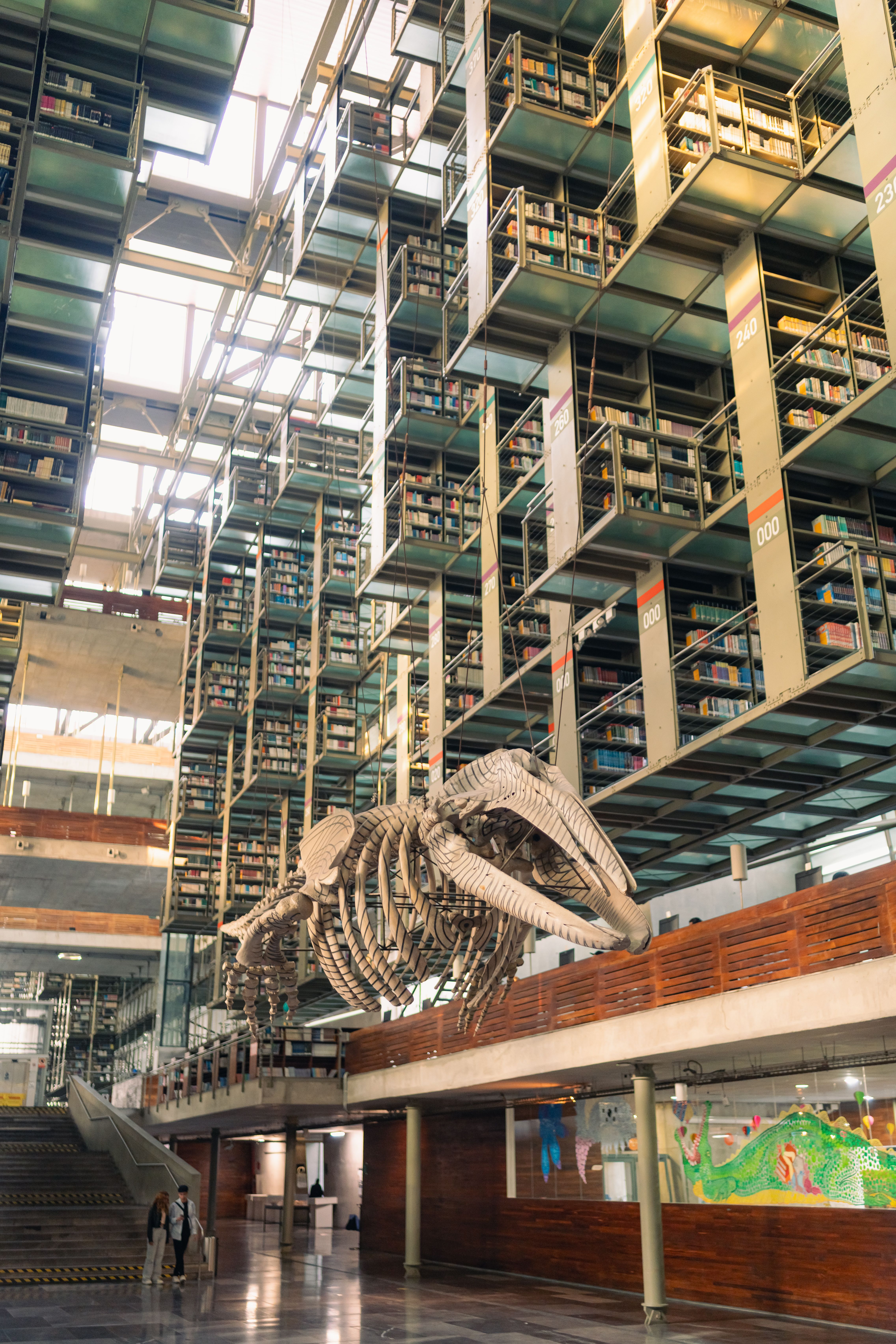 Library With Skeleton Photos, Download The BEST Free Library With ...