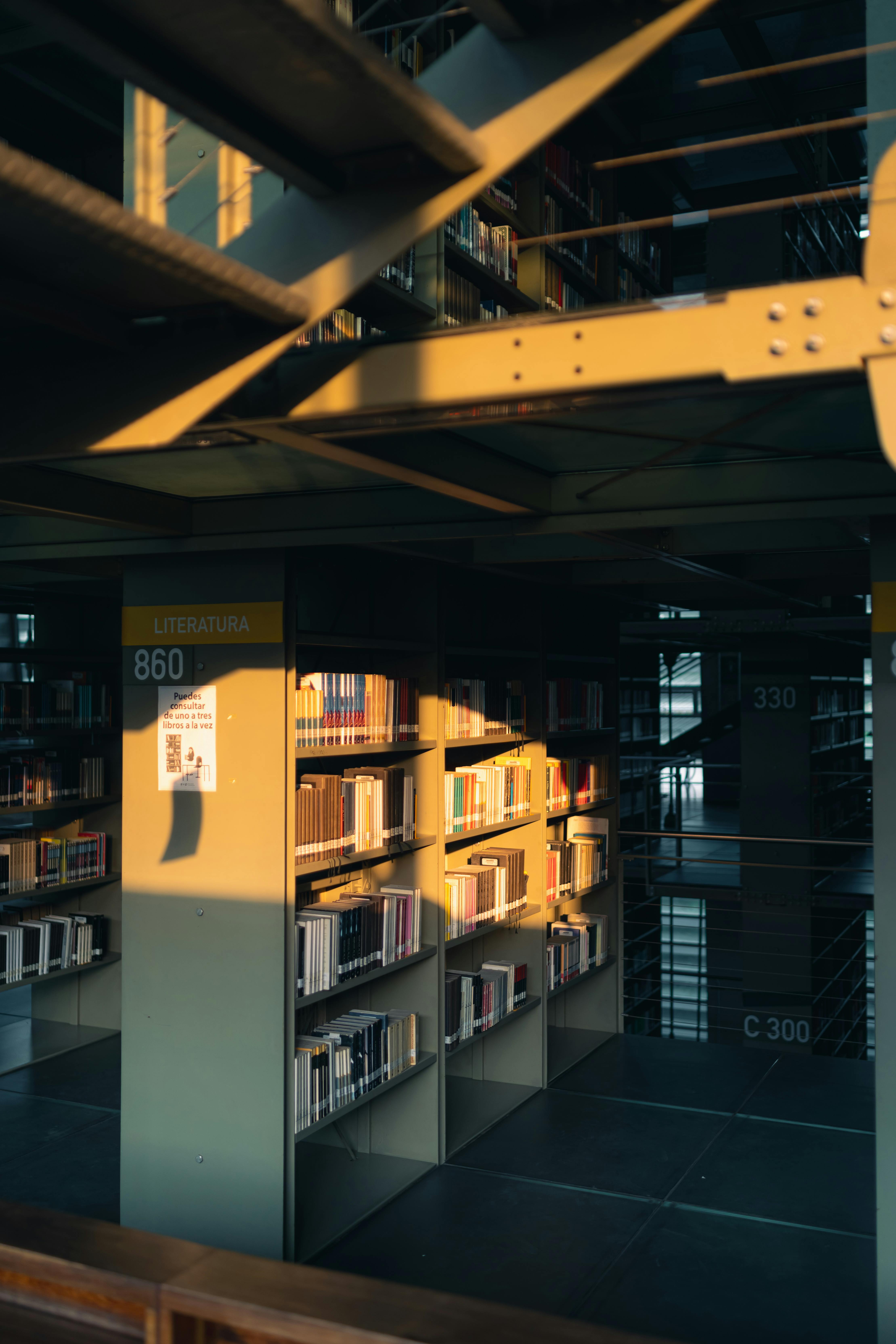 Sunlit Library Shelves in Mexico City Library · Free Stock Photo
