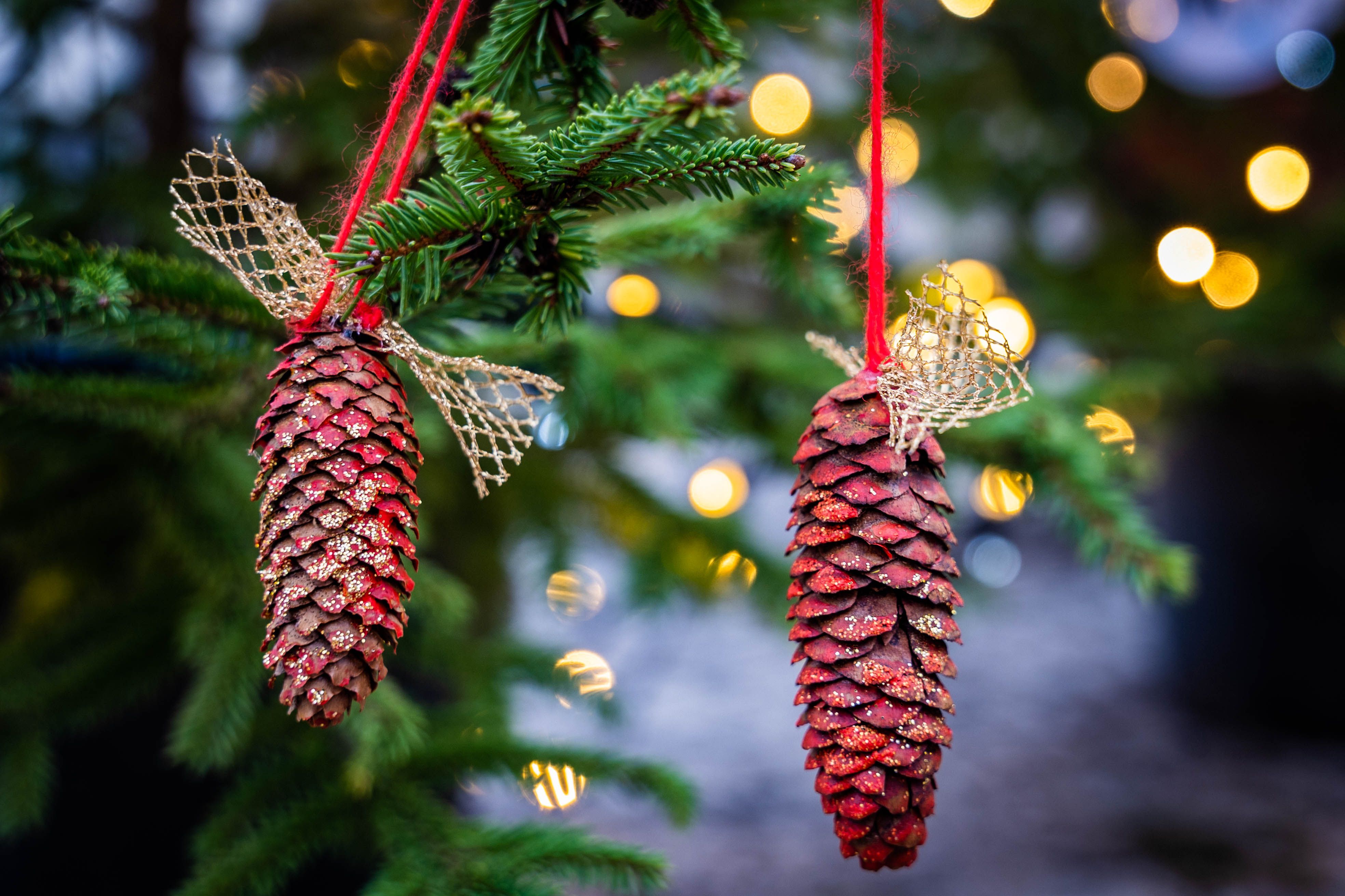 Festive Pine Cones Hanging on Christmas Tree · Free Stock Photo