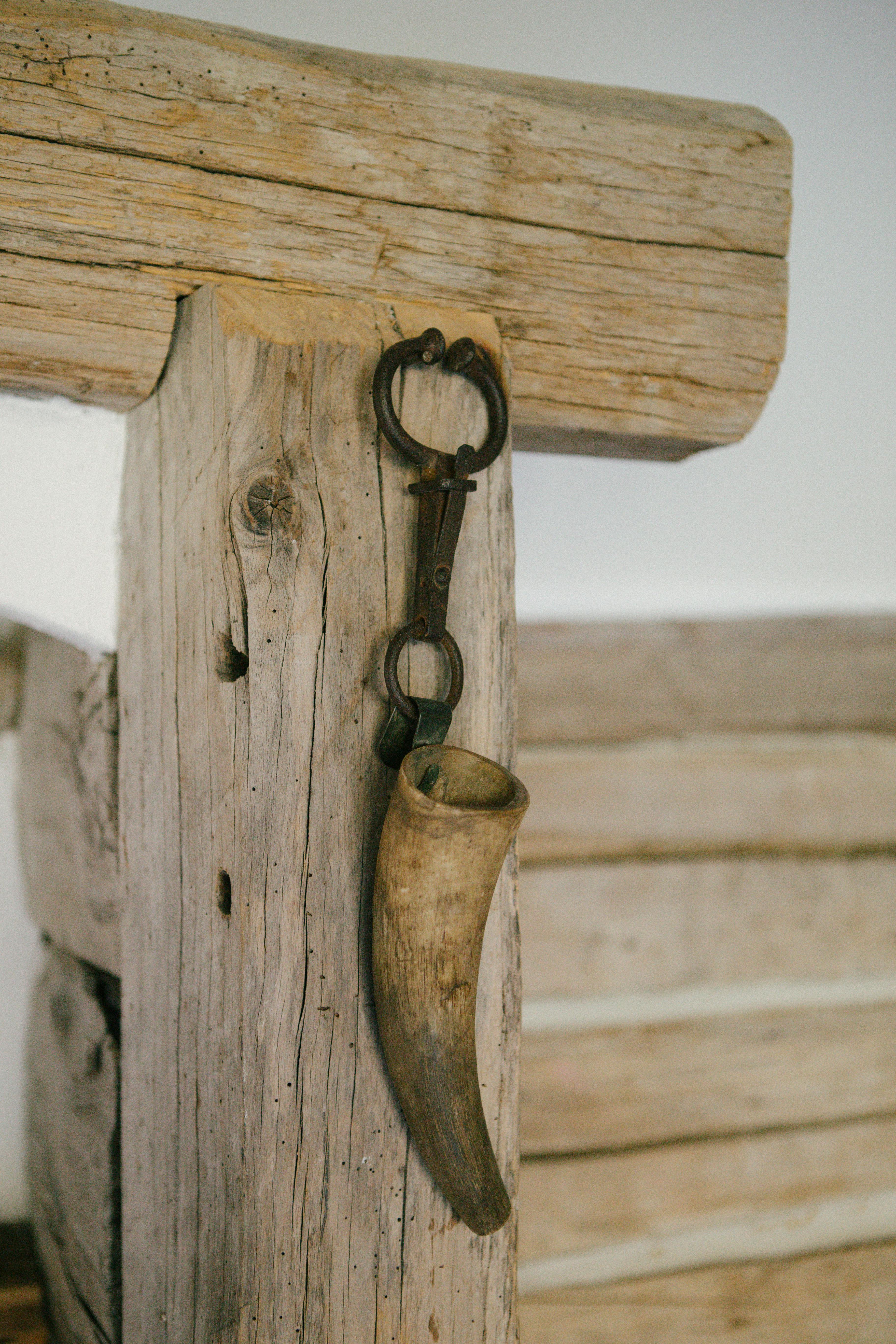 Rustic Wooden Post with Antler Decoration · Free Stock Photo