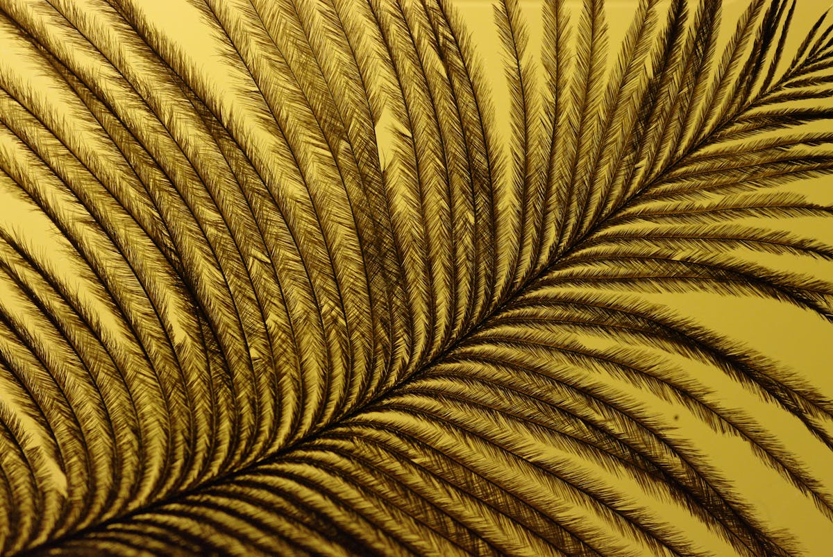 Yellow Color Backtground Photos, Download The BEST Free Yellow Color ...