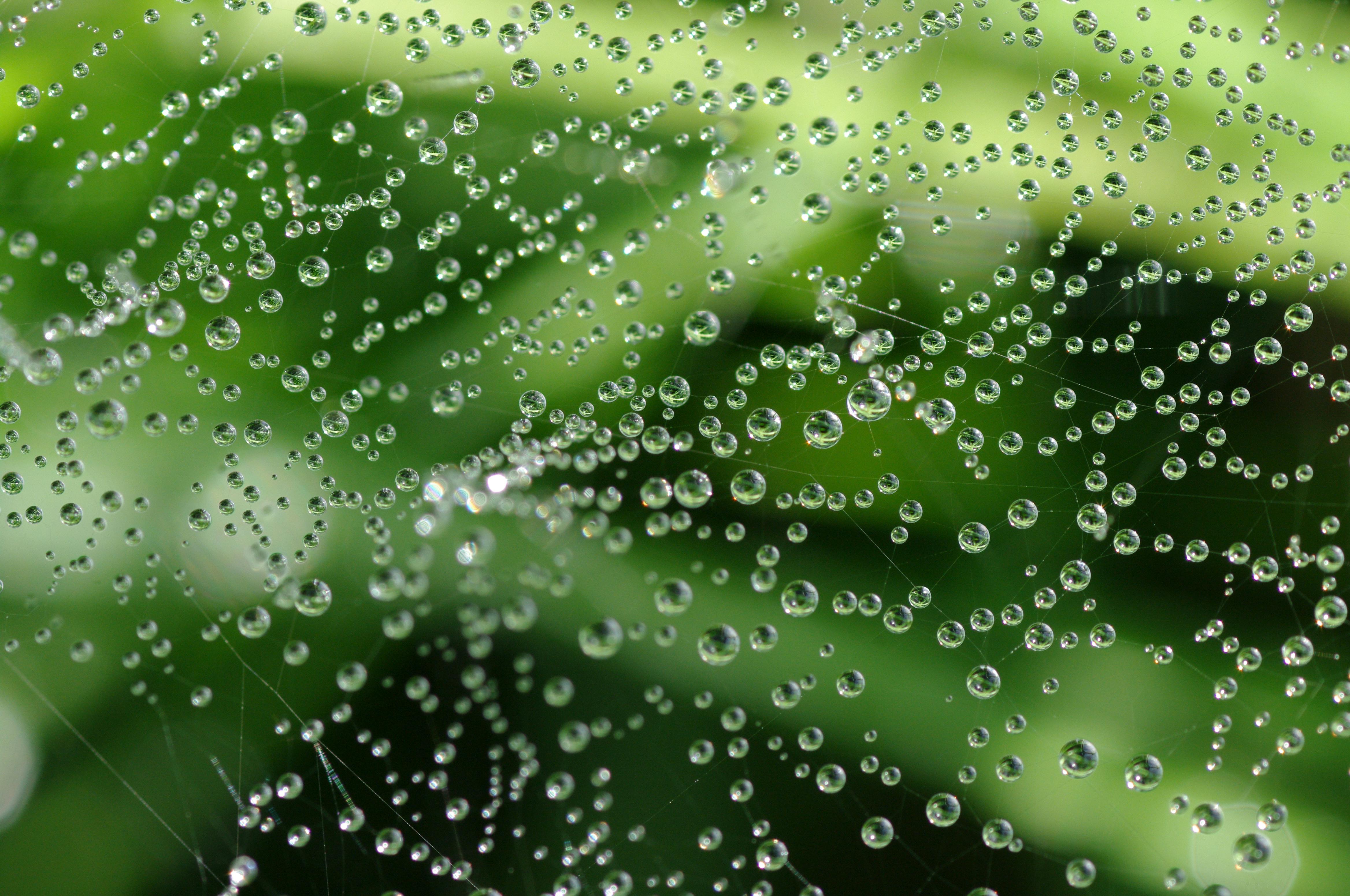 Natural Backround Background Photos, Download The BEST Free Natural ...